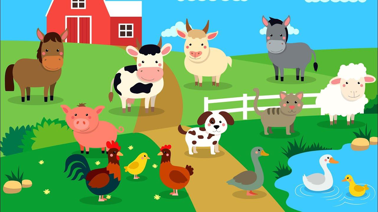 FARM ANIMAL DESIGNS