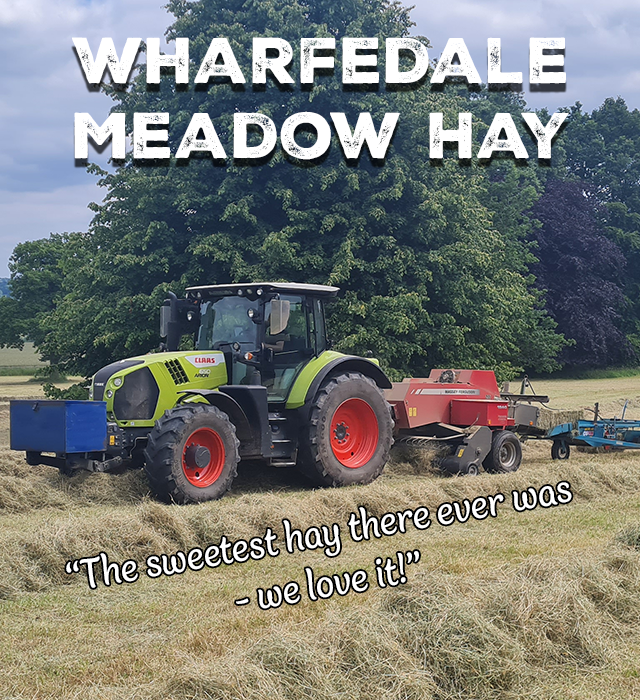 Hay, Forage & Botanicals for Rabbits, Guinea Pigs, other Rodents ...