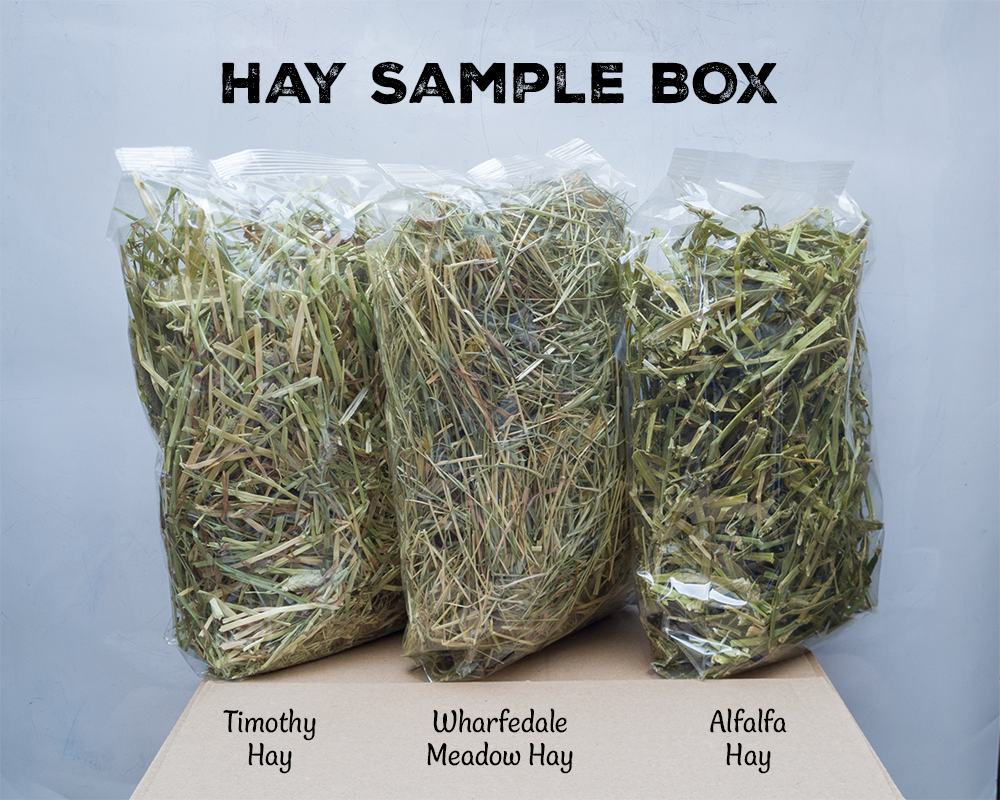 Hay & Dried Grass