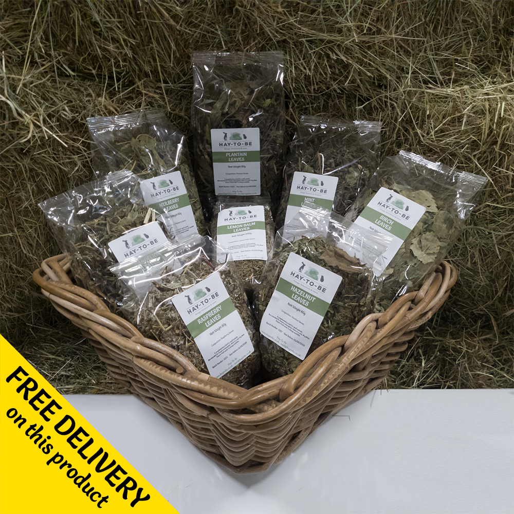 Forage Box 3 (Leaves)