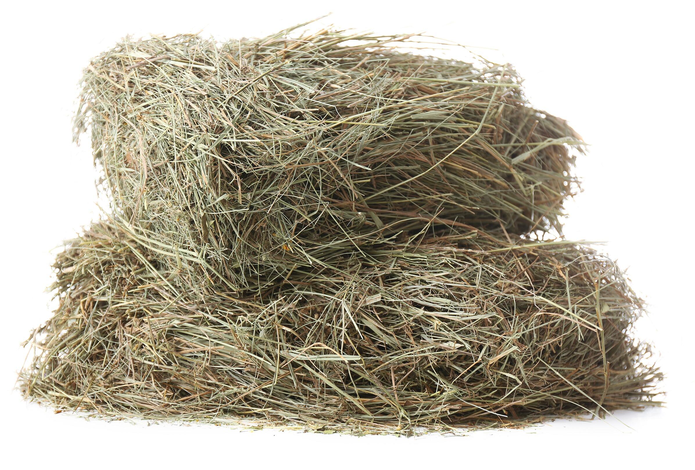 Hay & Dried Grass