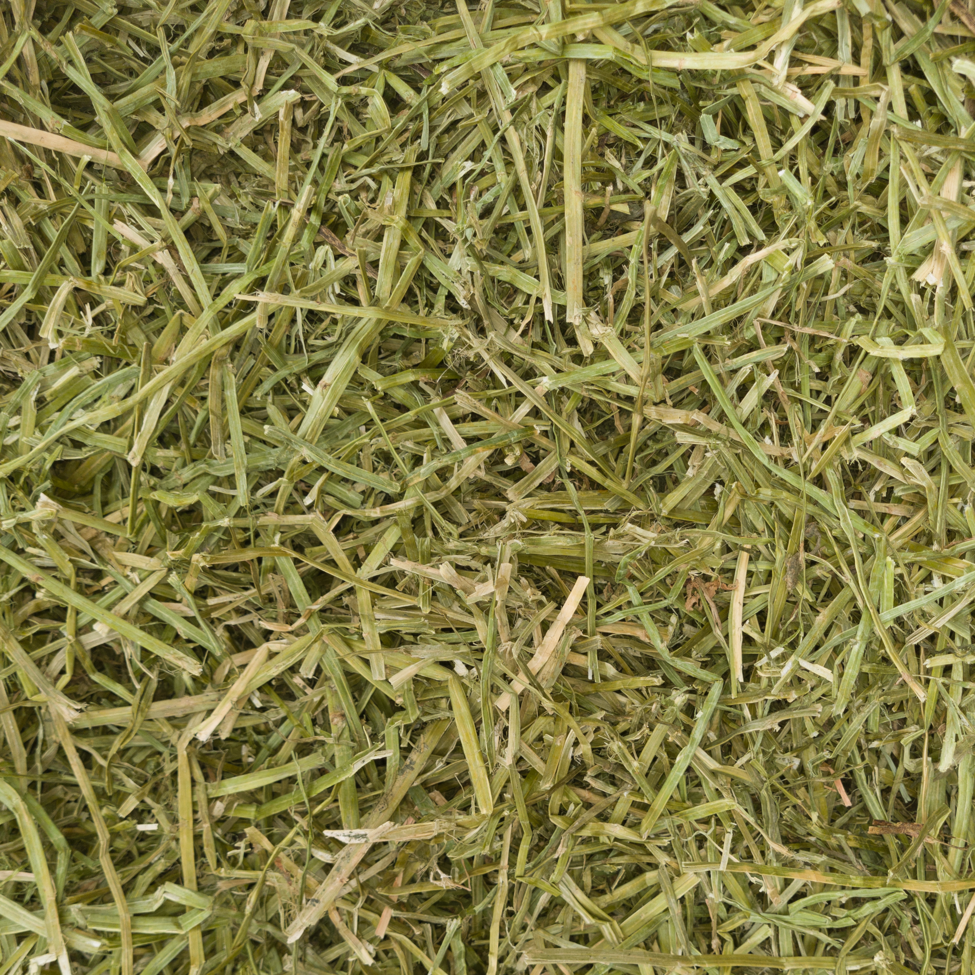 Alfalfa Hay Box 6.0kg (FREE DELIVERY)