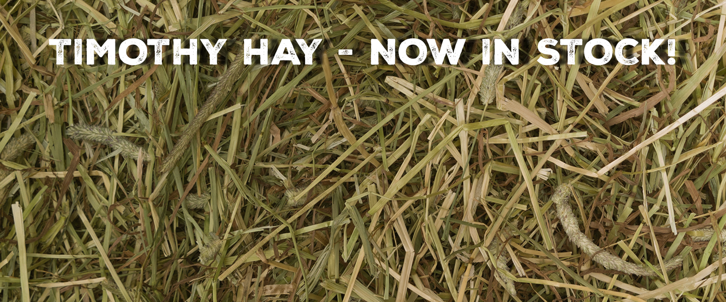Hay, Forage & Botanicals for Rabbits, Guinea Pigs, other Rodents ...