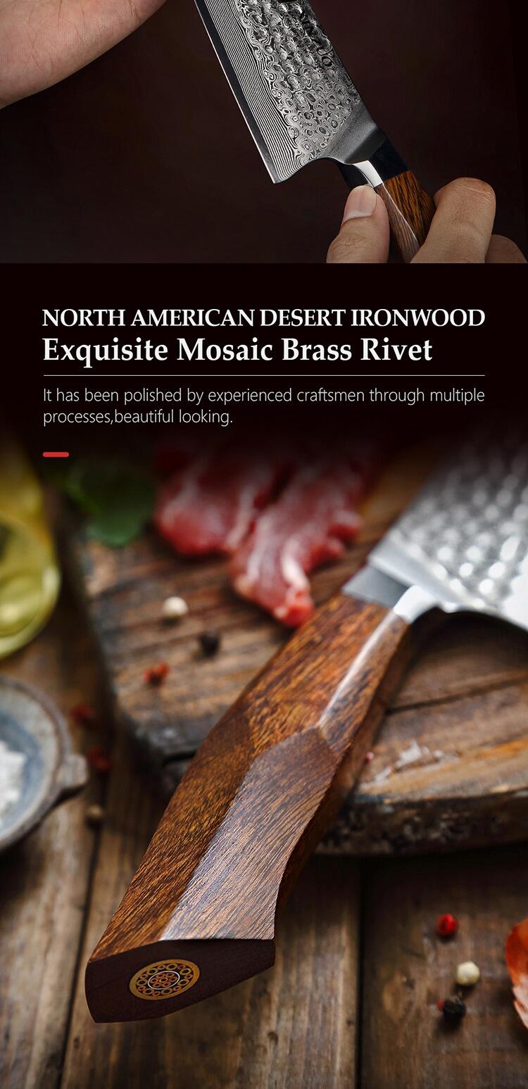 Professional Kitchen Knife- Feng Series - 8 inch chef knife in Deluxe ...
