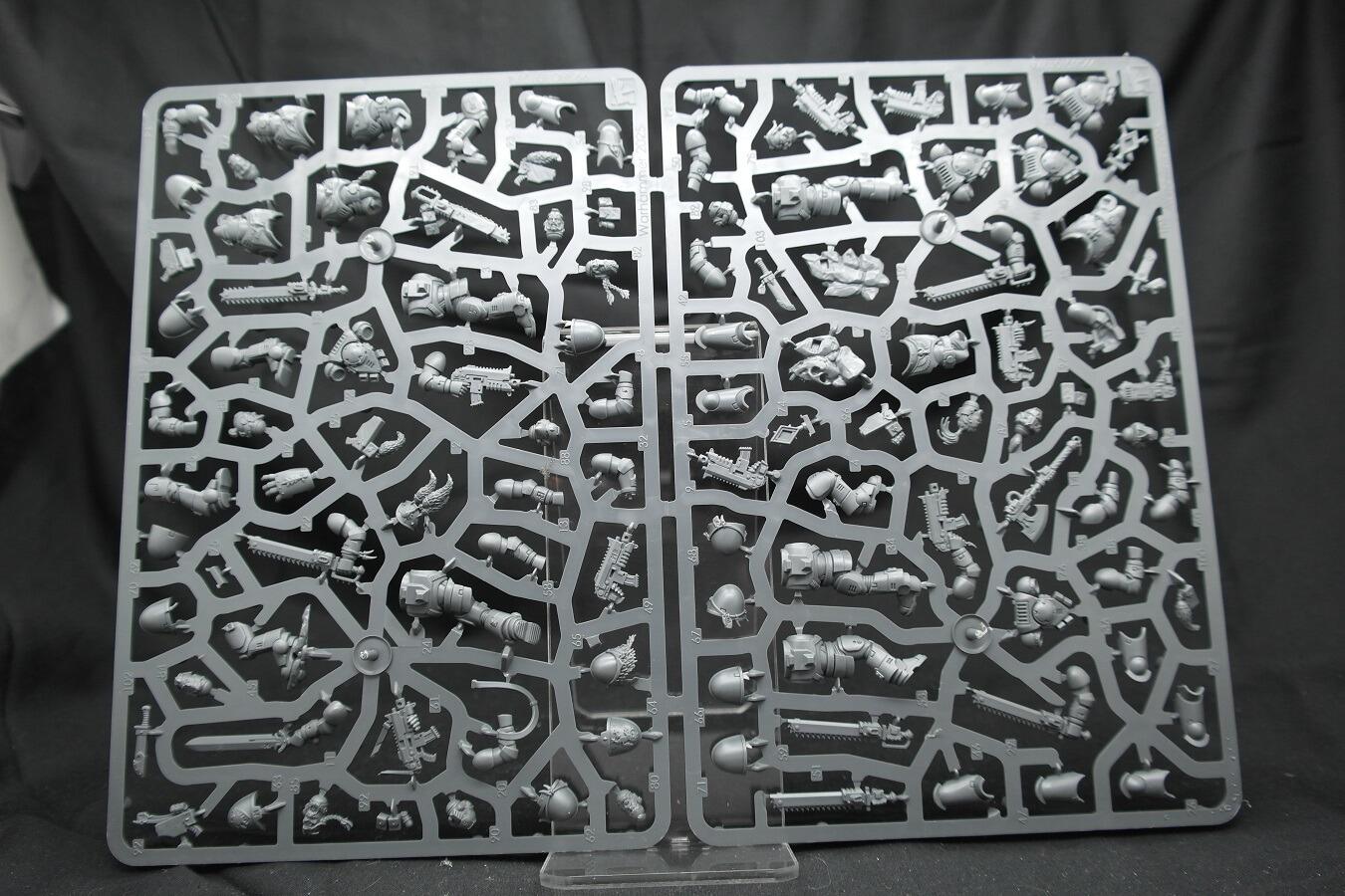 Pre-Loved Grey Hunters – New on Sprue | Space Wolves | Warhammer 40k