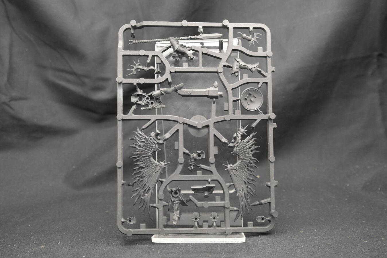 Pre-Loved Prosecutors (On Sprue) – Stormcast Flying Infantry ...