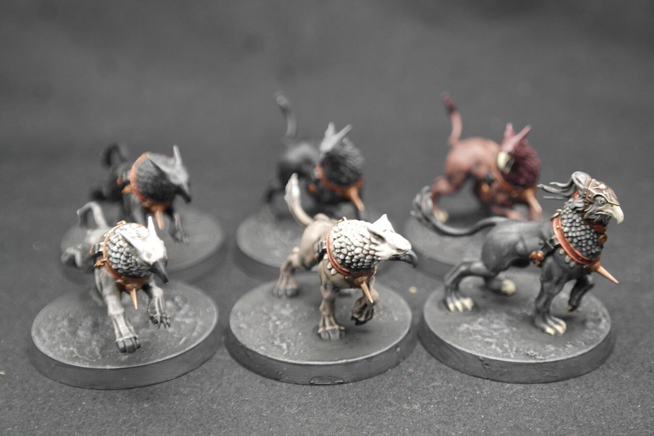 Pre-Loved Gryph-Hounds – Stormcast Companions | Warhammer AoS