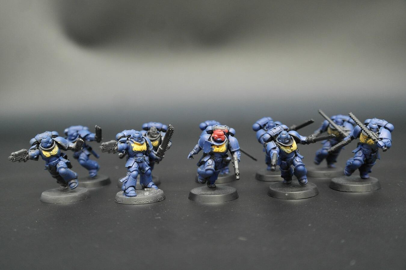 Pre-Loved Assault Intercessors ETB – Basecoated 40k | Warmodels.co.uk