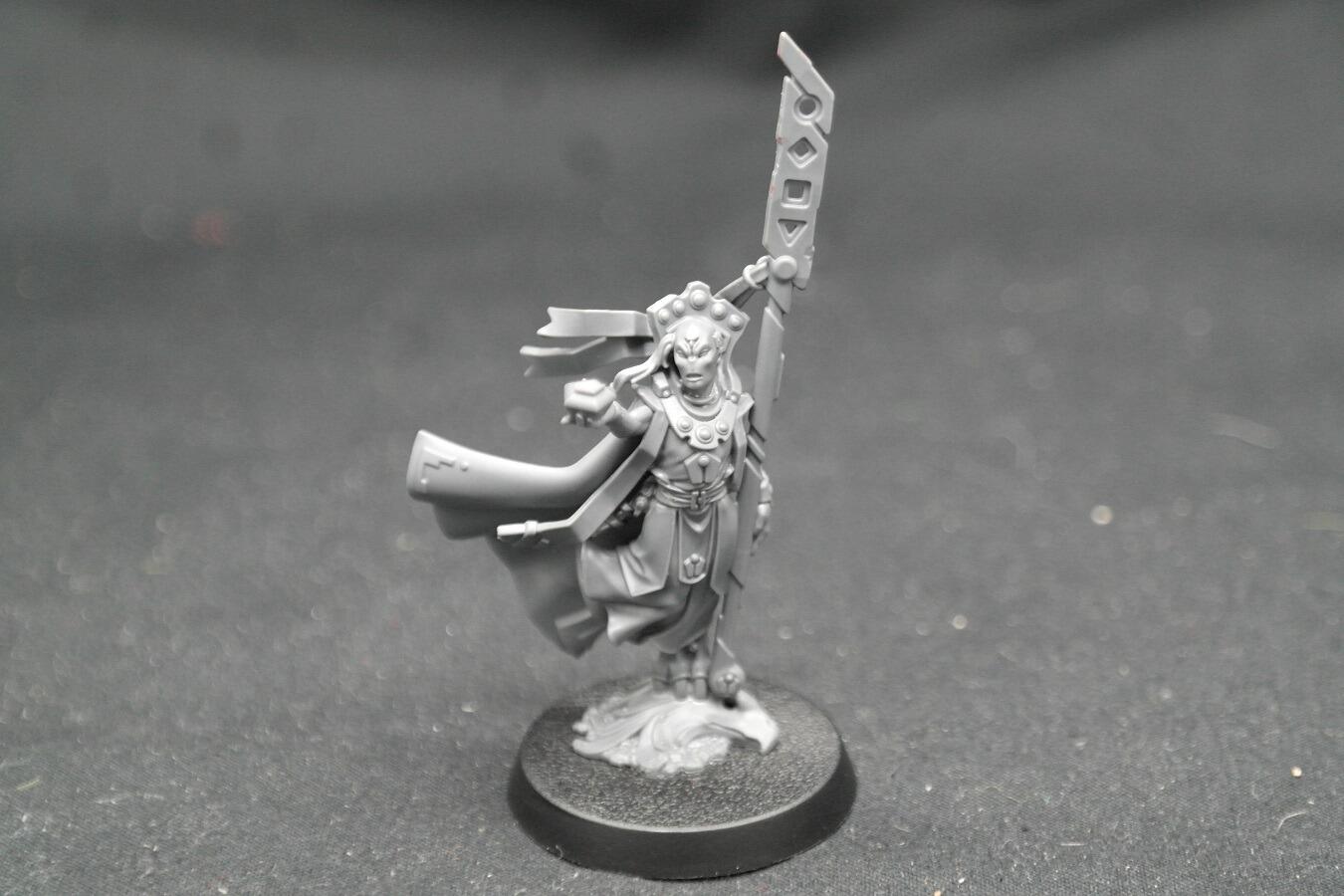 Pre-Loved T’au Ethereal – Invocation of the Elements | Warhammer 40k