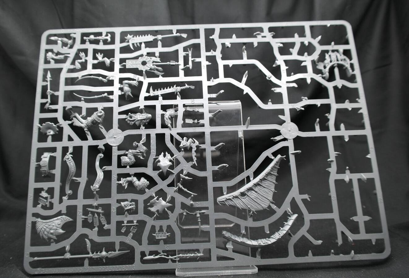 Pre-Loved Skink Oracle on Troglodon – Seraphon Hero Monster | Warhammer AoS