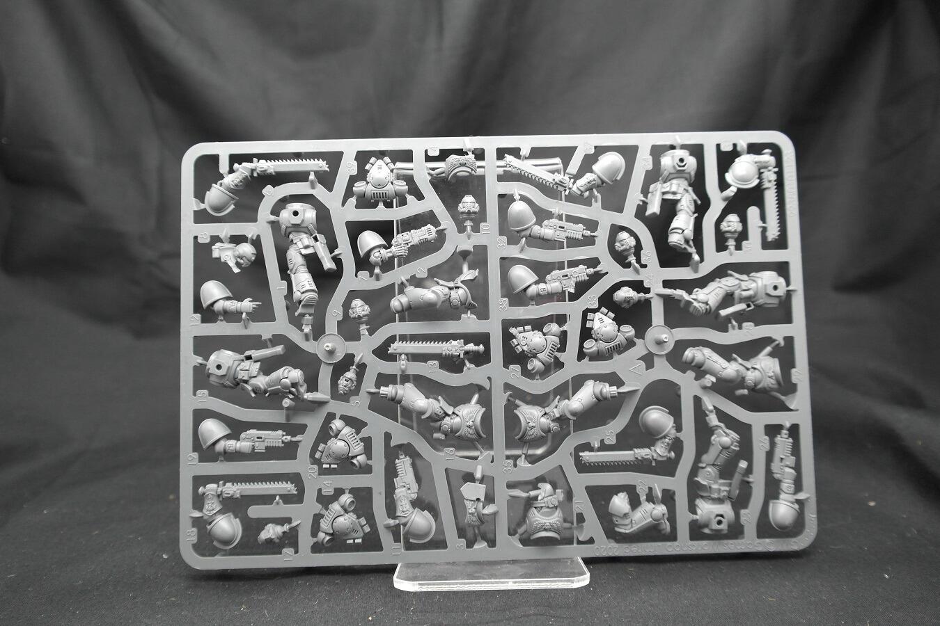 Assault Intercessors x5 (New on Sprue) – Space Marines Troops ...