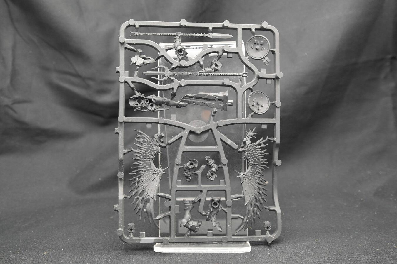 Pre-Loved Prosecutors (On Sprue) – Stormcast Flying Infantry ...