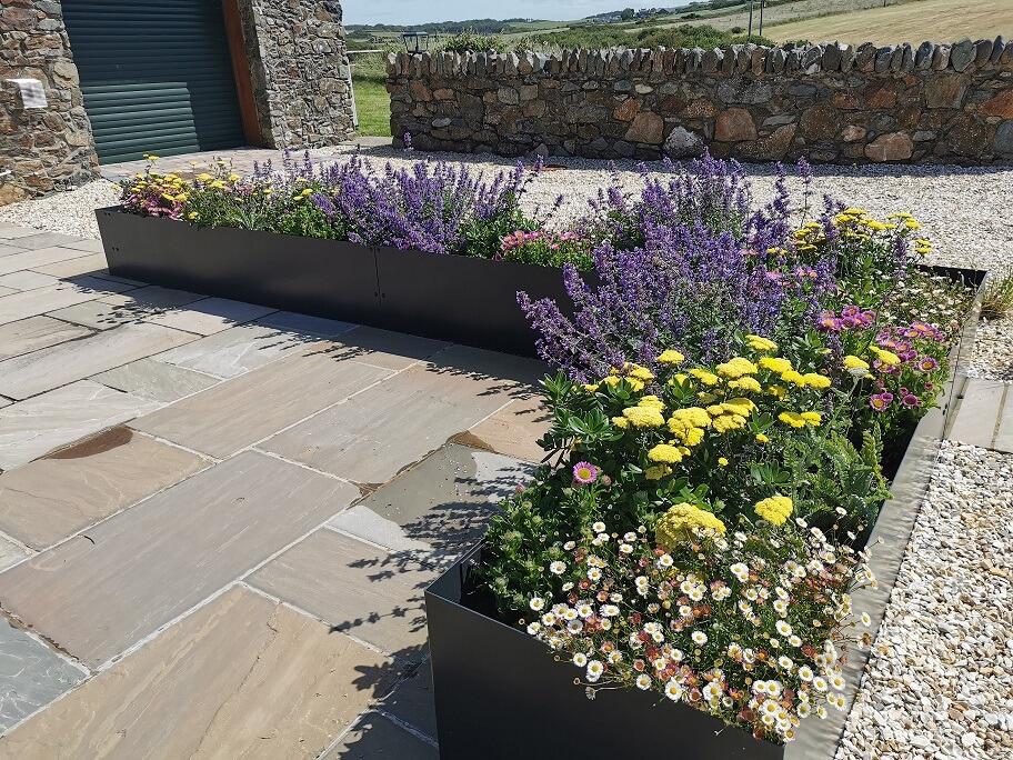 Shire Plants - Rare, Unusual and Heritage Plants