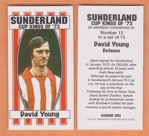 Sunderland David Young