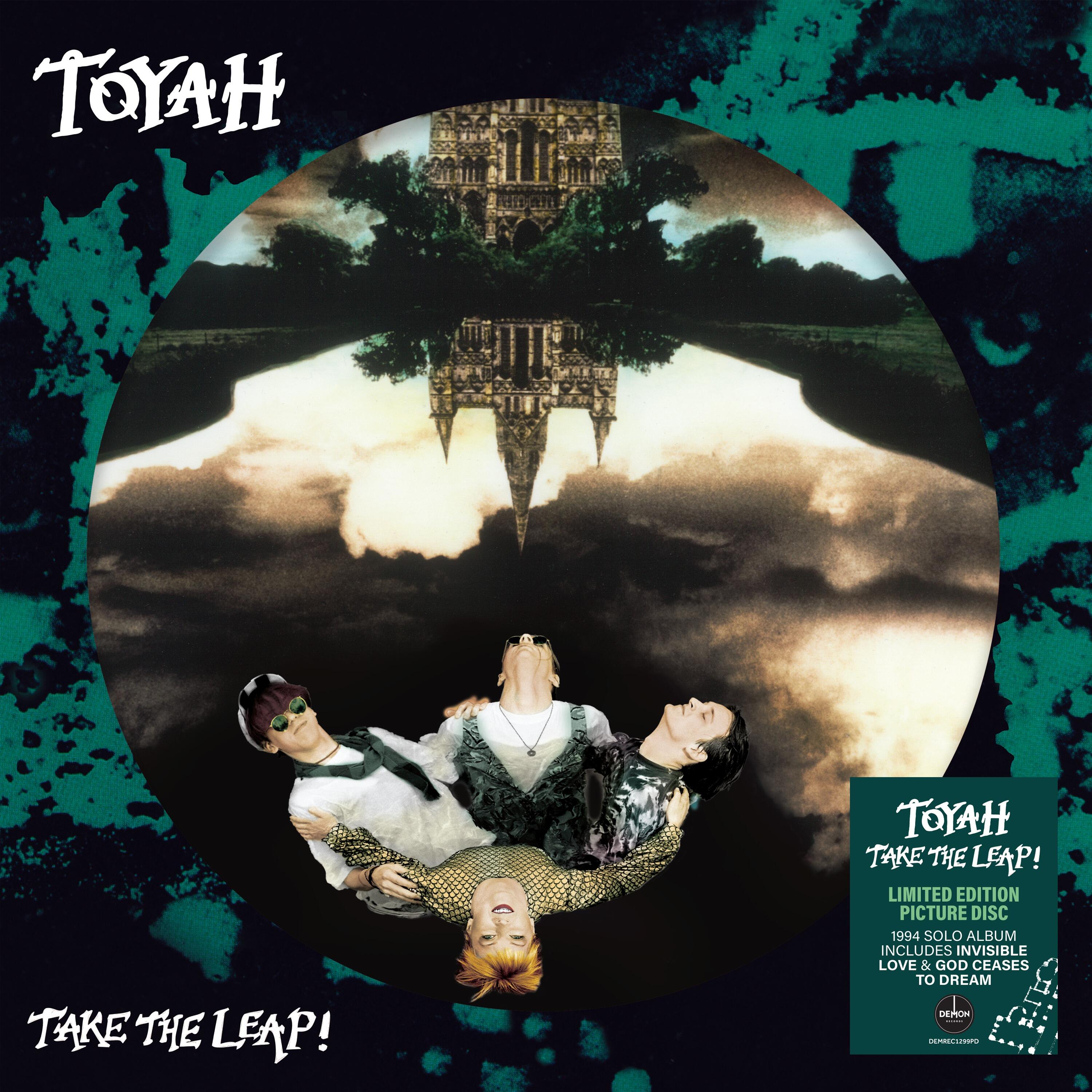 Toyah - Take The Leap - (LP Picture Disc Vinyl Album)