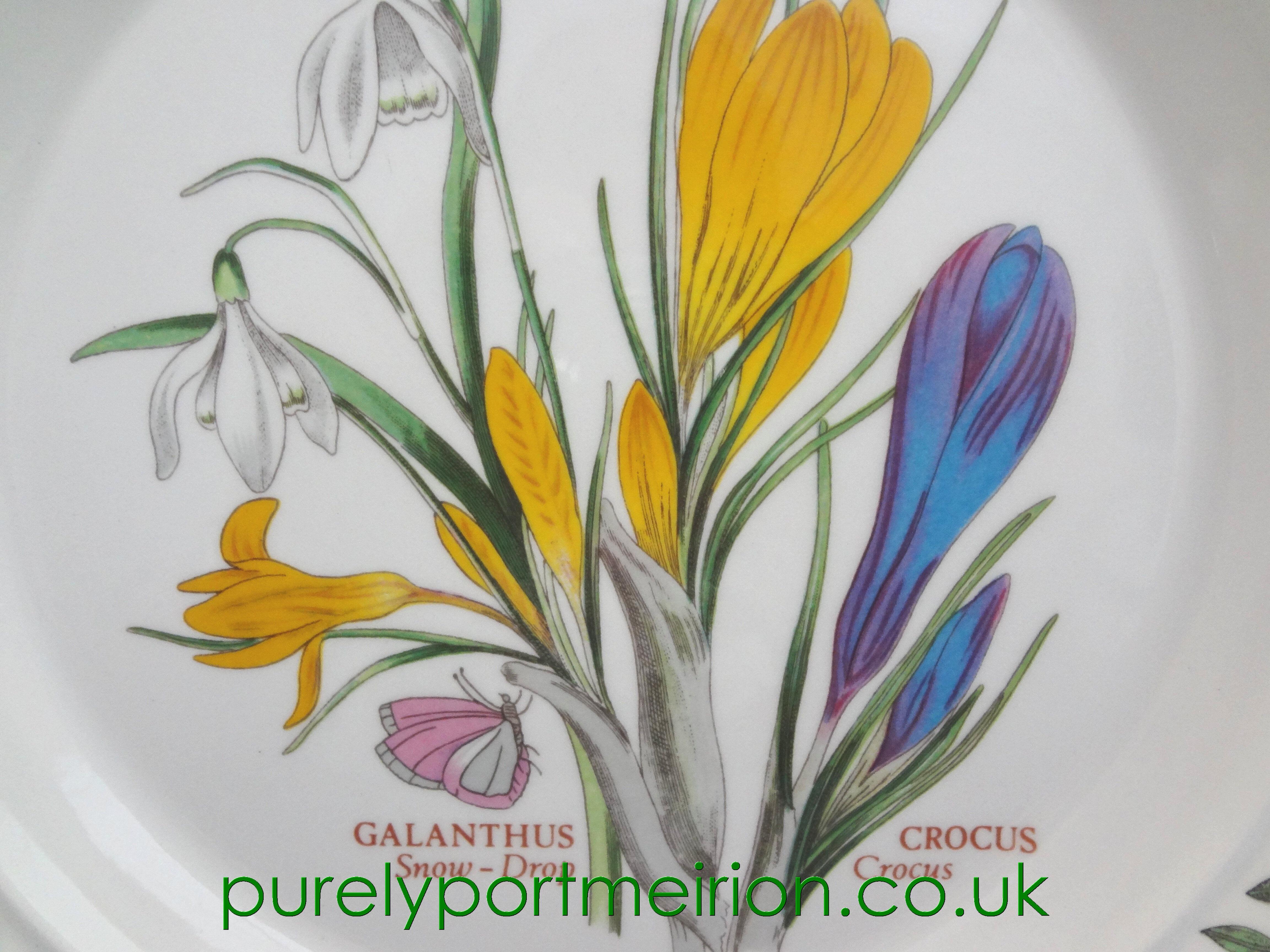 Portmeirion Pottery Botanic Garden Side Plate, Snowdrop And Crocus, BG1178