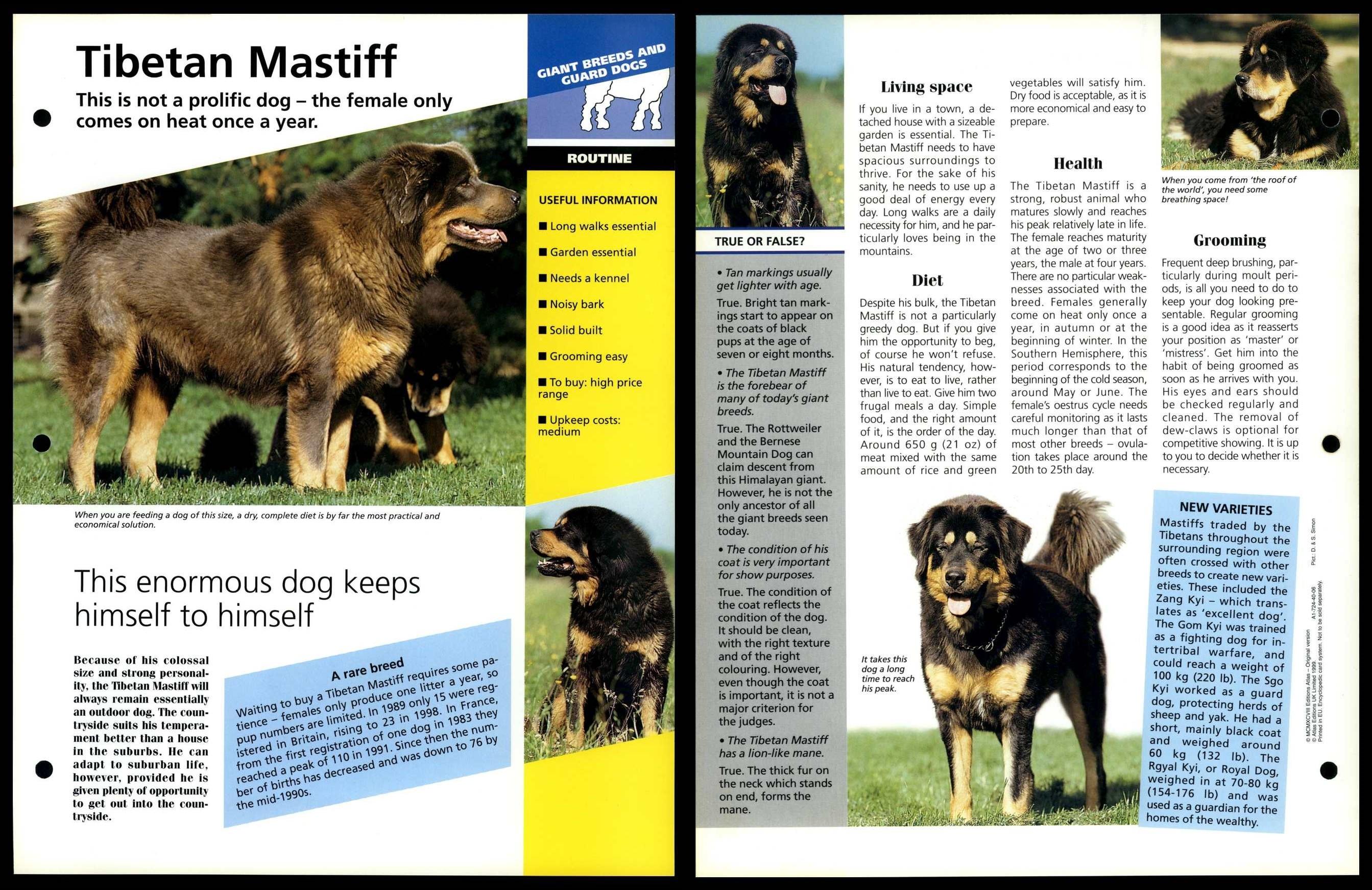 Farm Dogs: A Comprehensive Breed Guide To 93 Guardians,