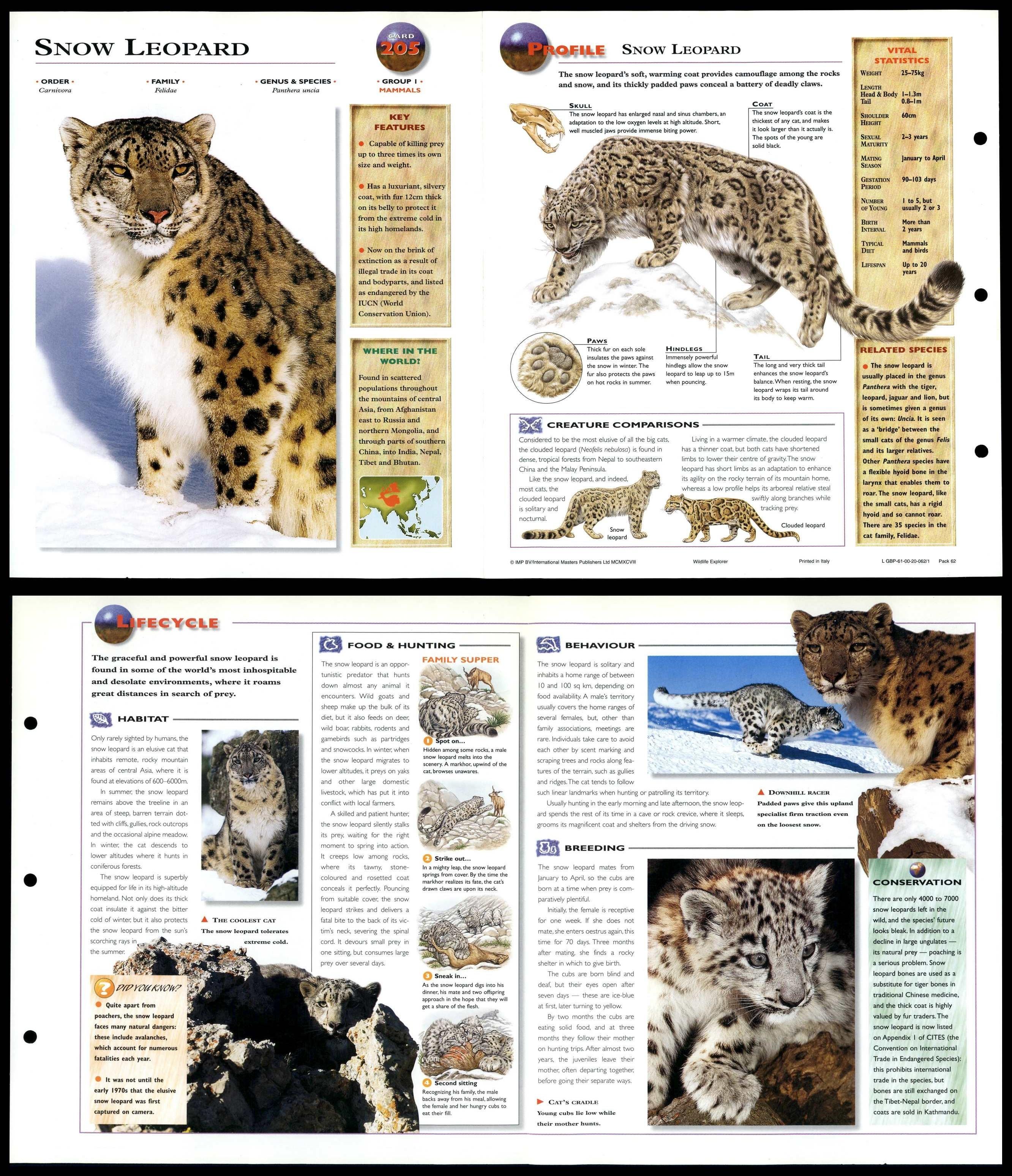 Snow Leopard #205 Mammals - Wildlife Explorer Fold-Out Card
