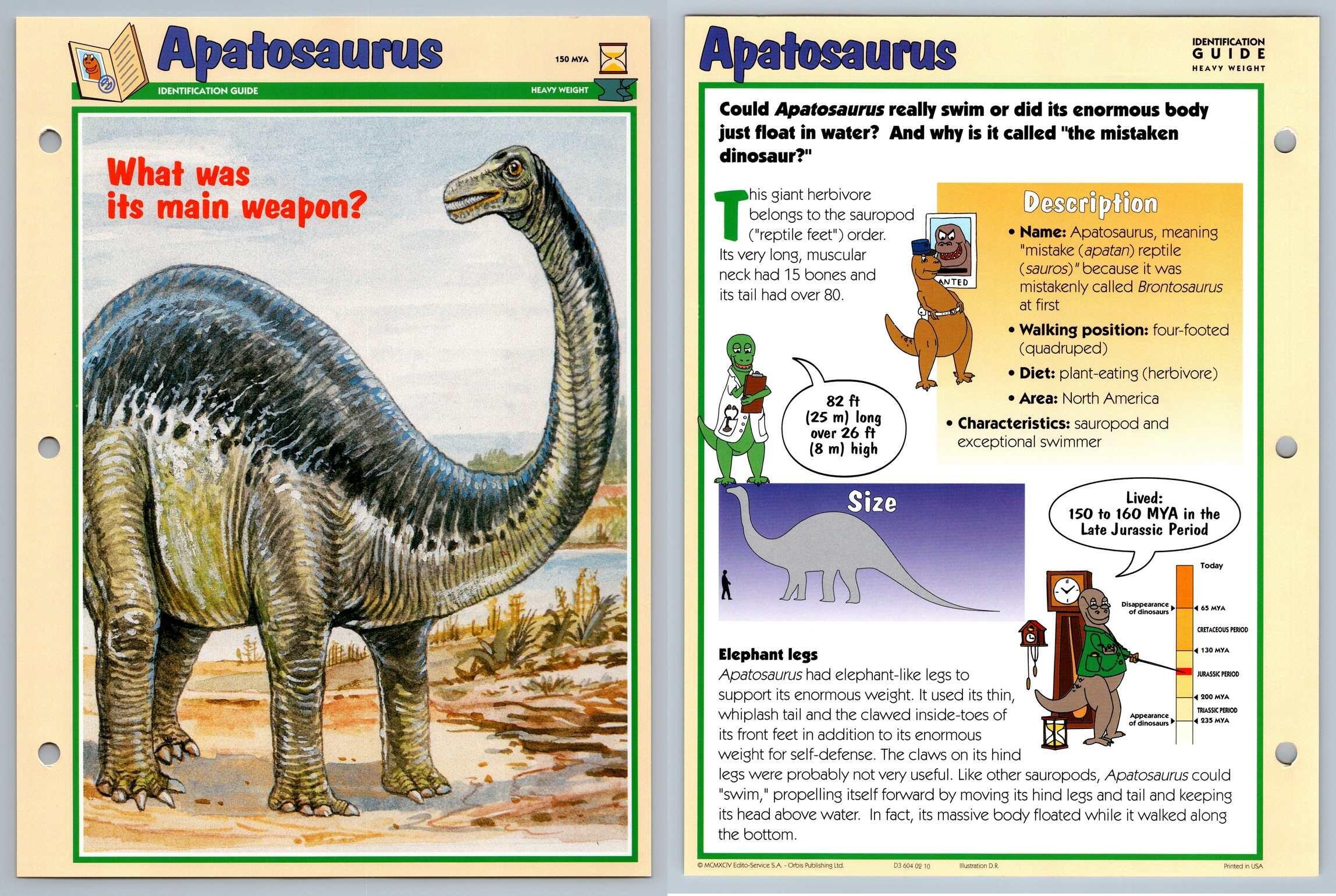 Apatosaurus - Identification Guide - Dinosaurs! - Orbis Play & Learn ...