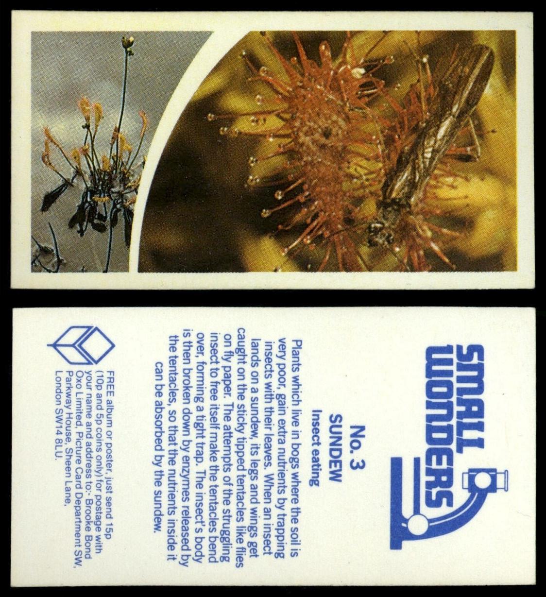 Sundew #3 Small Wonders 1981 Brooke Bond Tea Card