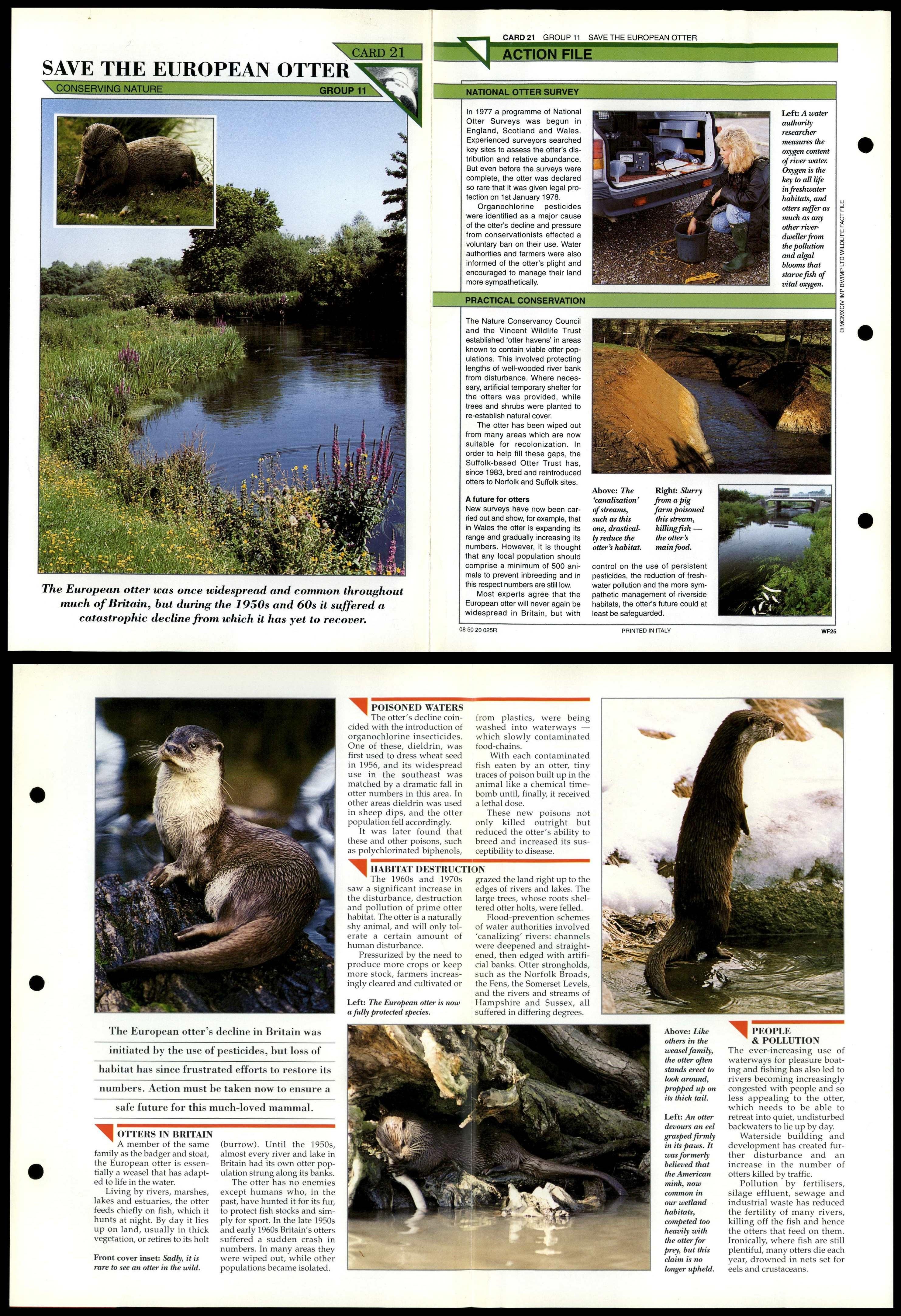 Save The European Otter #21 Conservation Wildlife Fact File Fold-Out Card