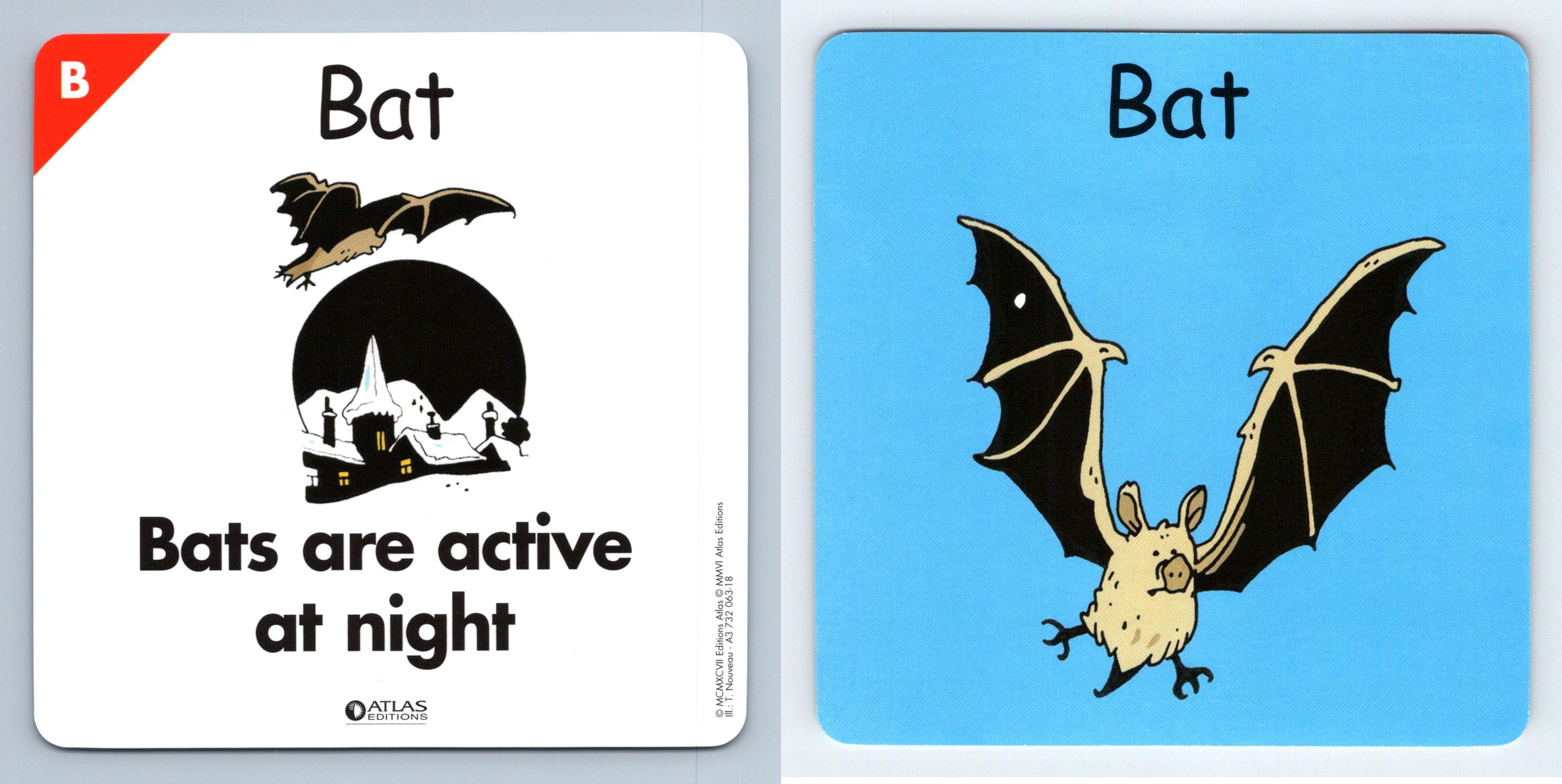 Bat - B - Atlas Editions Play & Learn Flash Card