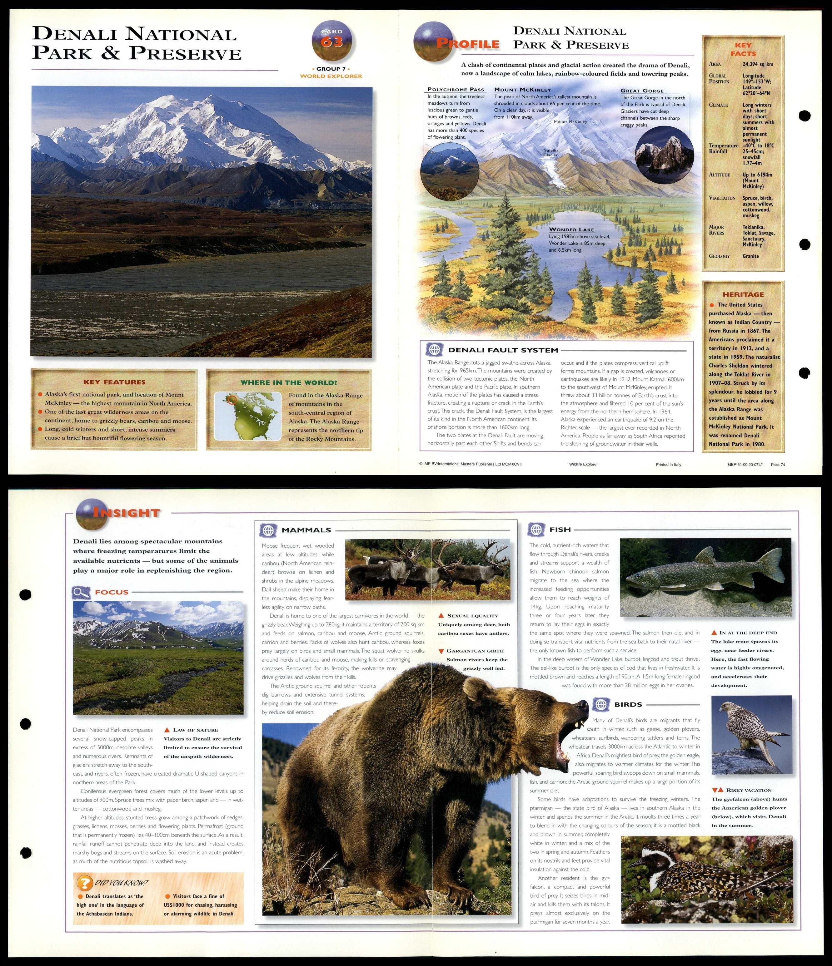 Denali National Park #63 World - Wildlife Explorer Fold-Out Card