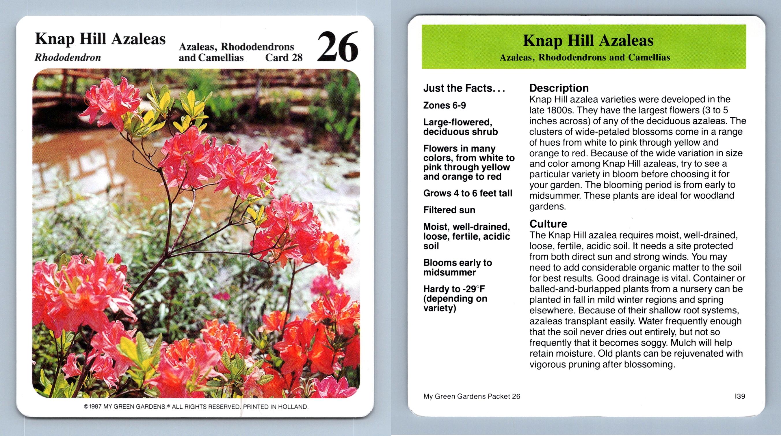 Knap Hill Azaleas #28 Azaleas .. - My Green Gardens 1987 Cardmark Card