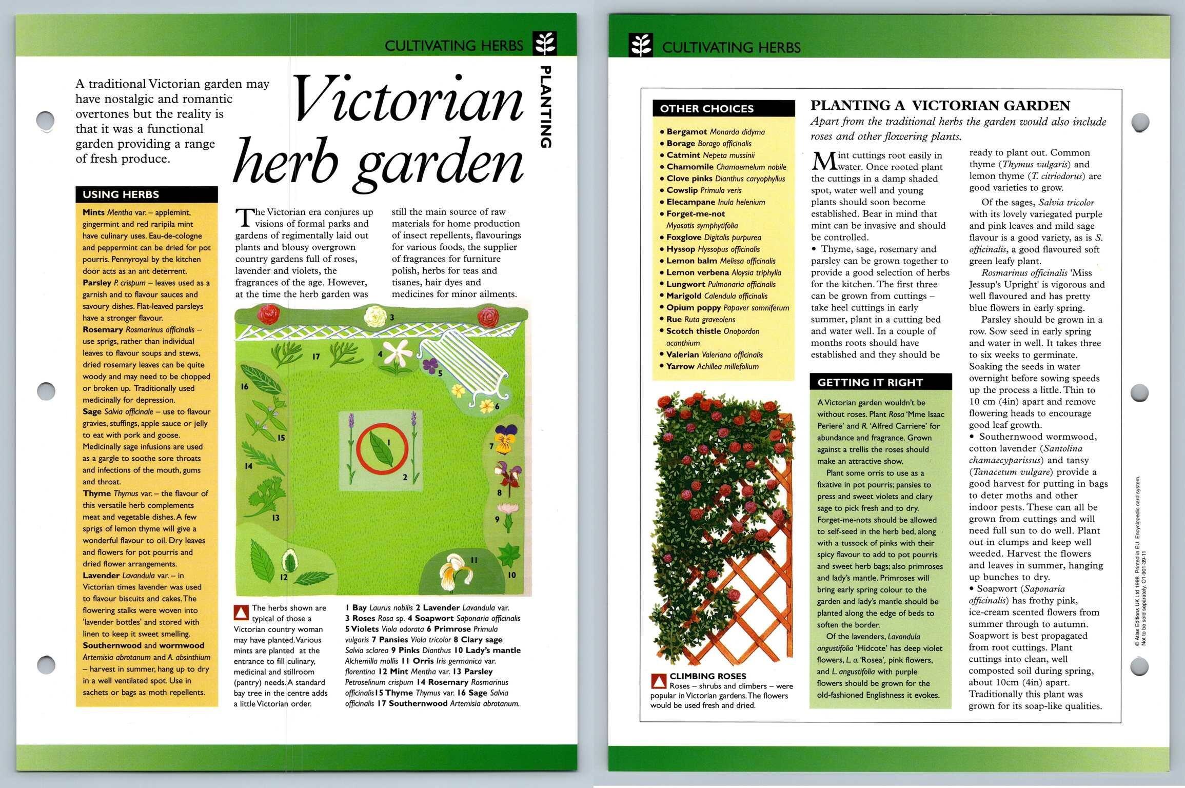 Victorian Herb Garden - Cultivating - Secret World Of Herbs Fact File Card