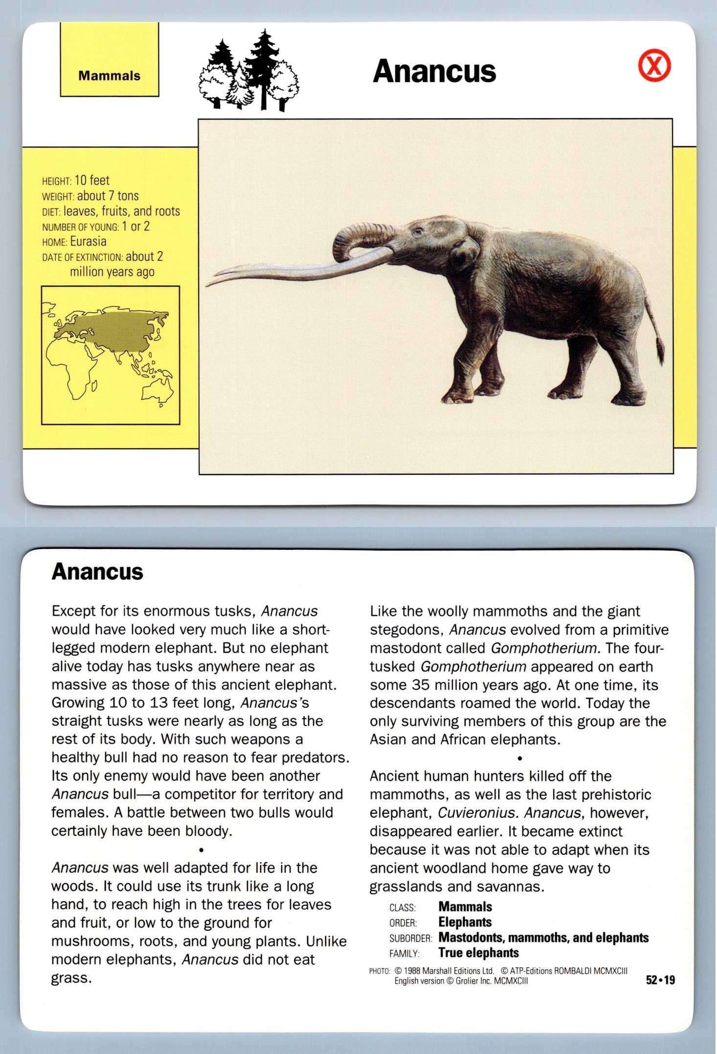 Anancus #52.19 - Mammals - Grolier Wildlife Adventure Card