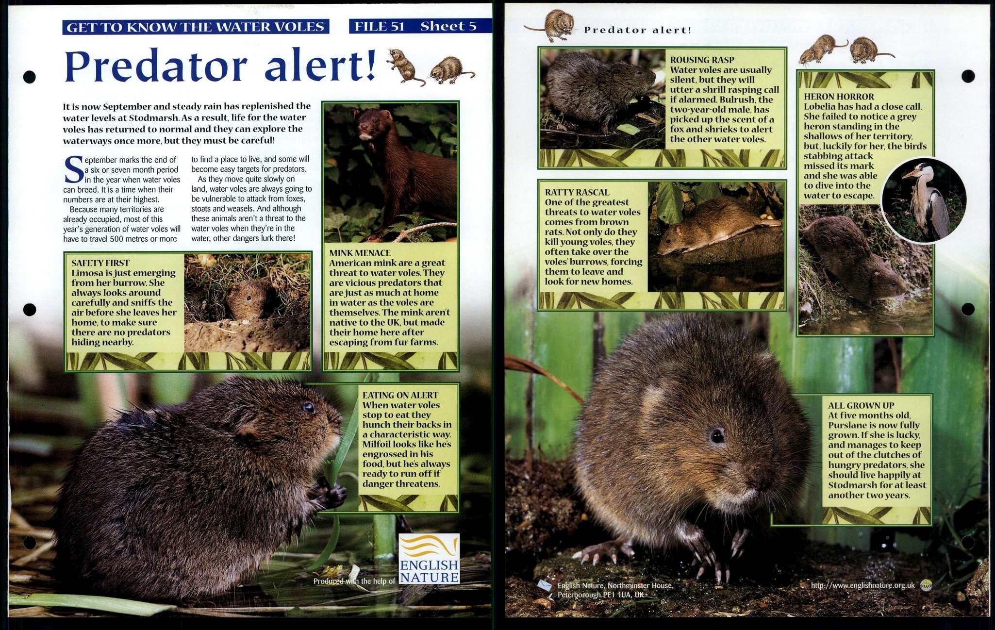 Predator Alert! #5 Get To Know Animals, Animals, Animals Fact File Page
