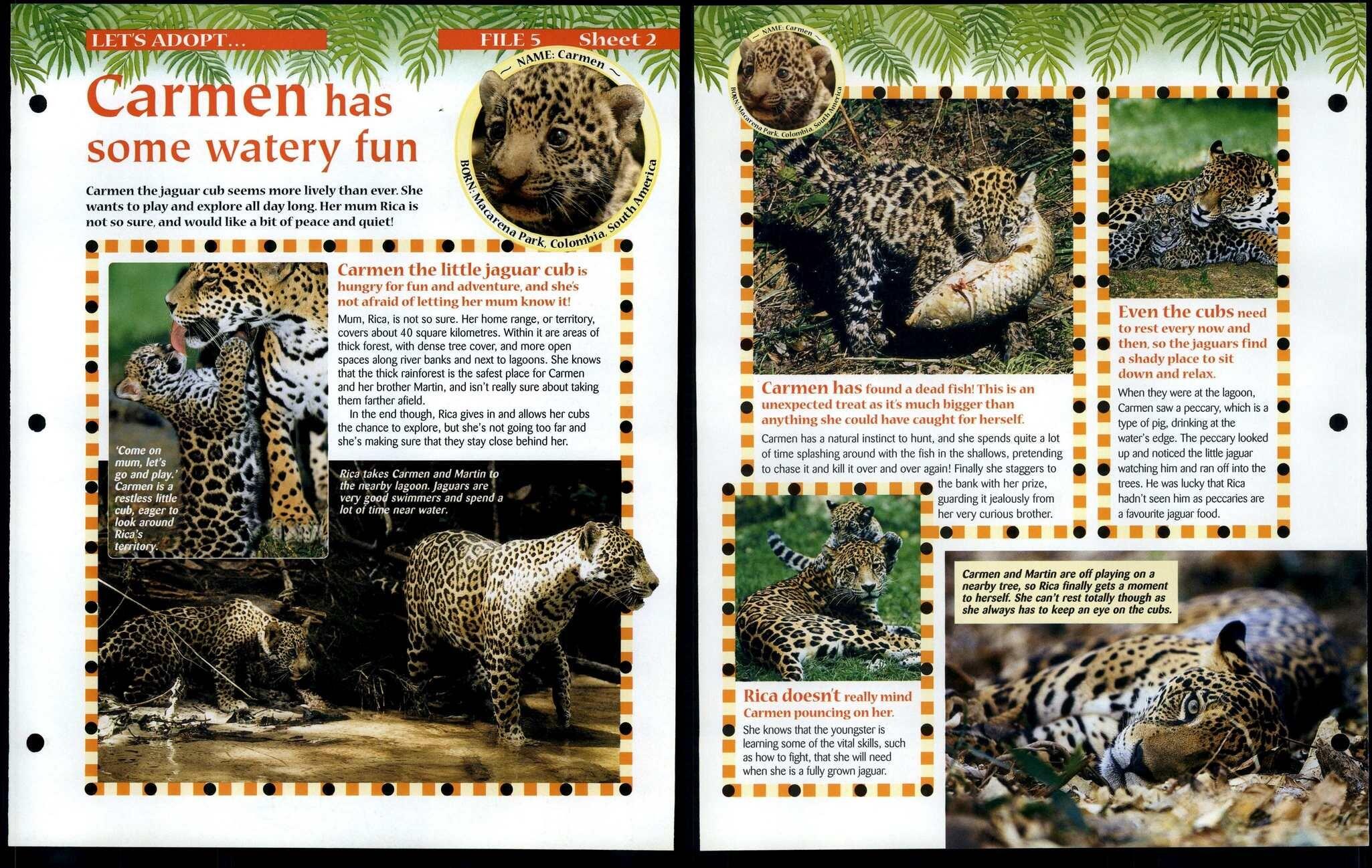 Carmen Watery Fun #2 Lets Adopt Animals, Animals, Animals Fact File Page