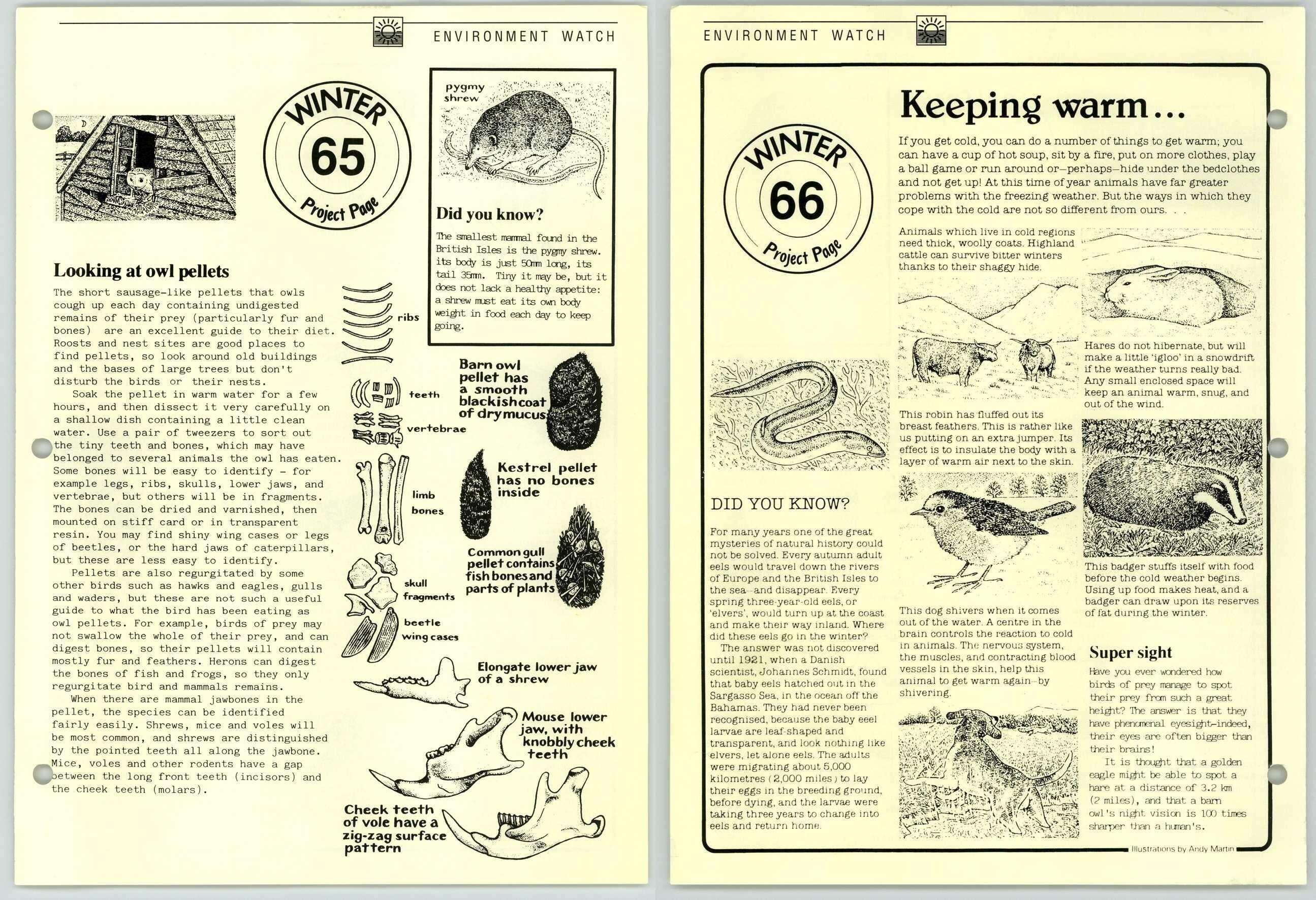 Owl Pellets / Keeping Warm - Project - The Living Countryside Page
