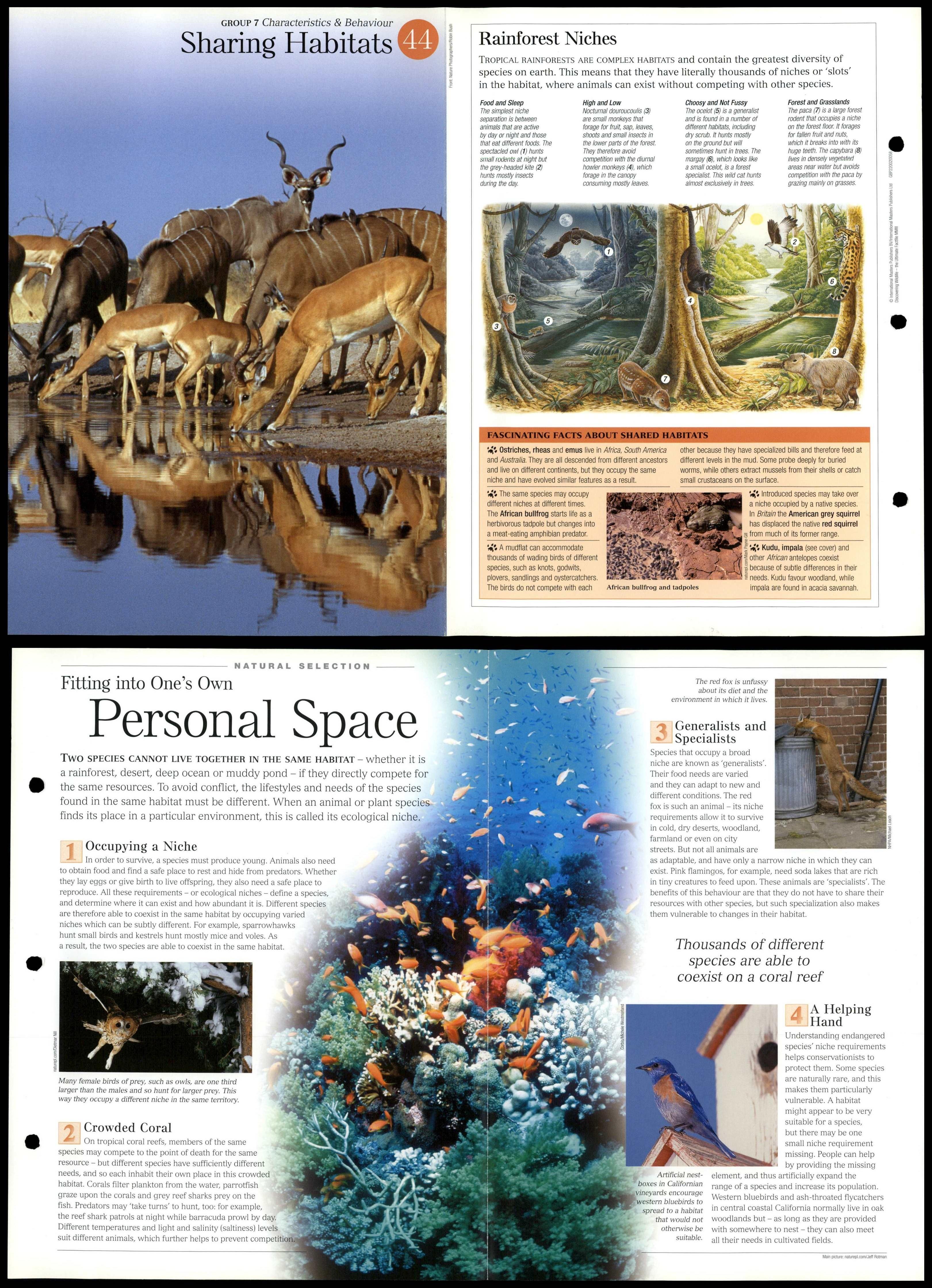 Sharing Habitats #44 Characteristics - Discovering Wildlife Fact File Card