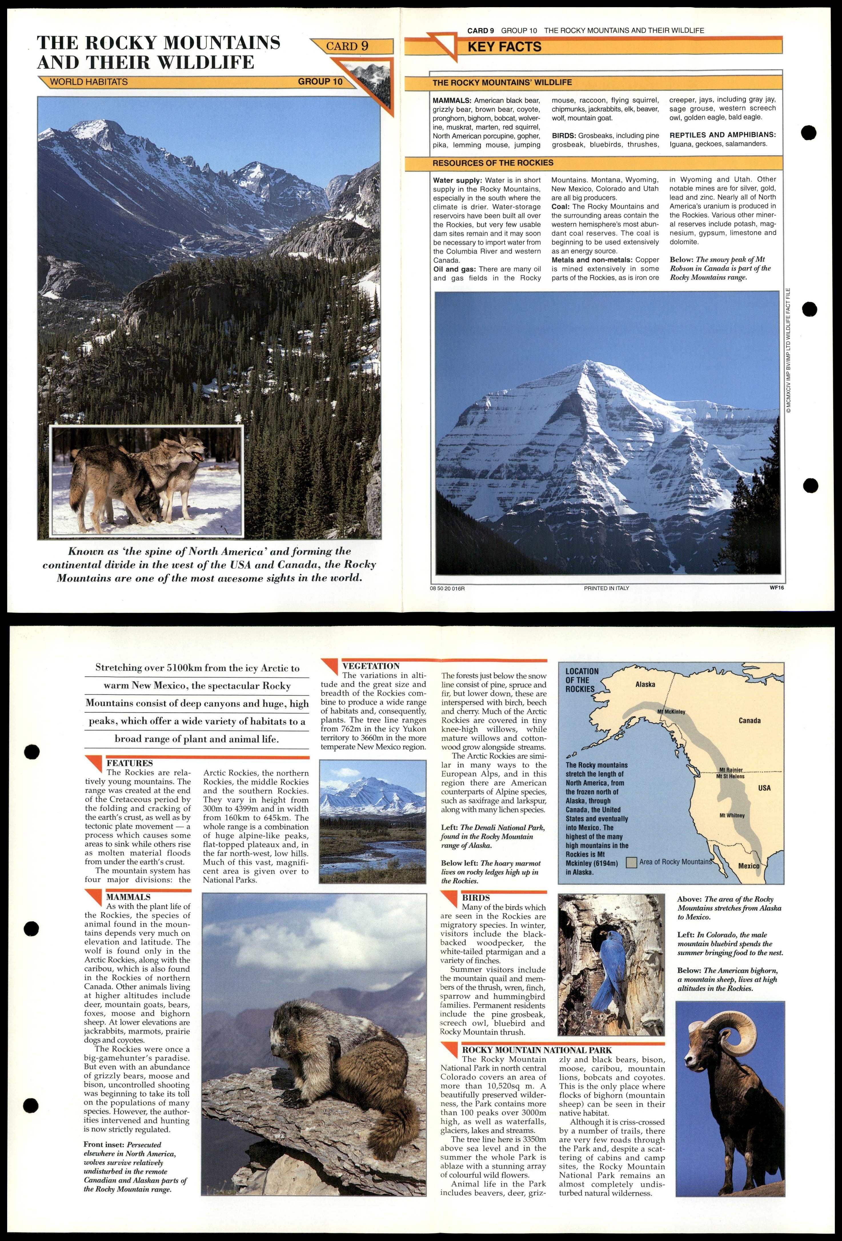 Mountain Habitats Around The World at Deidra Mckoy blog