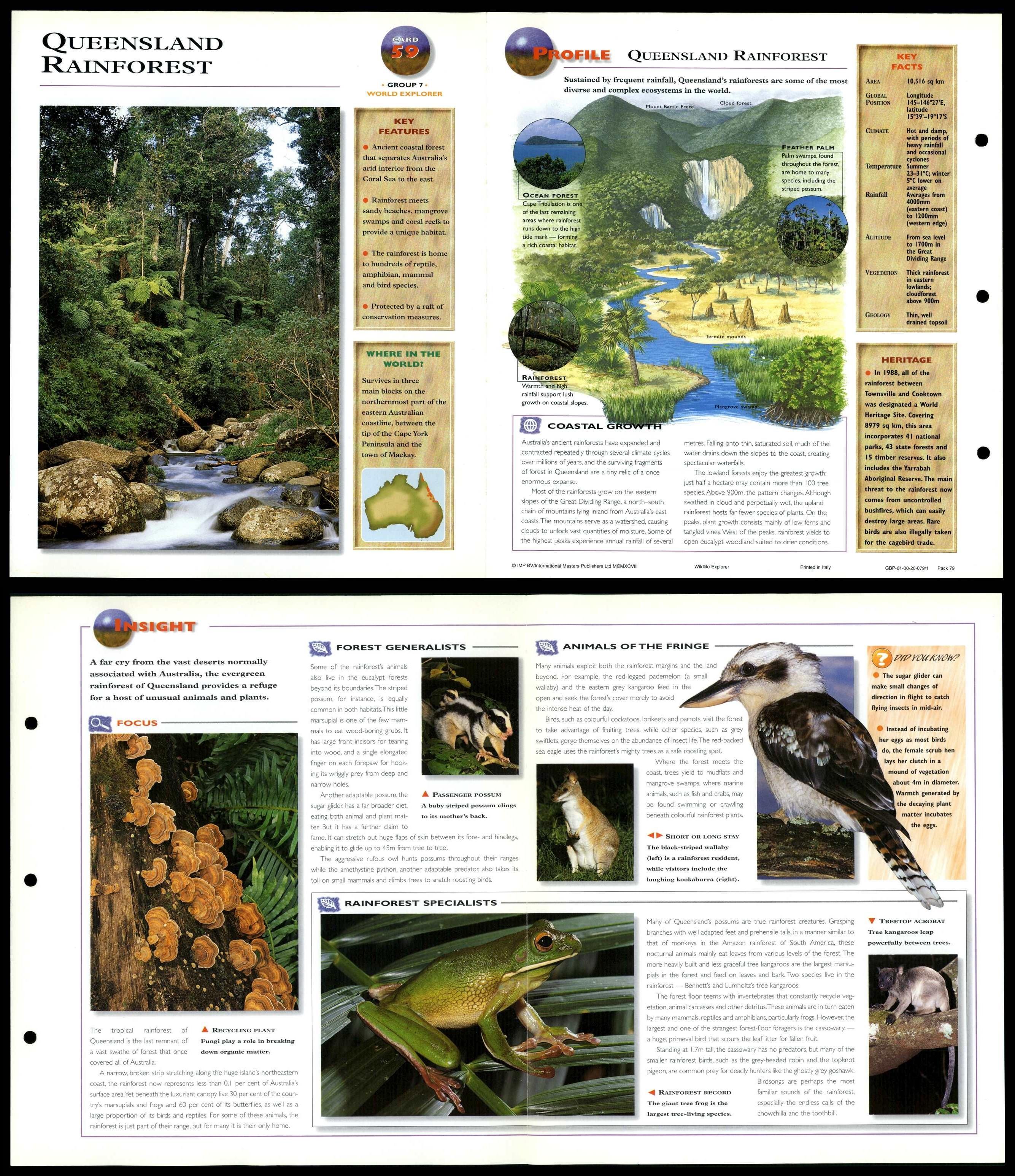 Queensland Rainforest #59 World - Wildlife Explorer Fold-Out Card