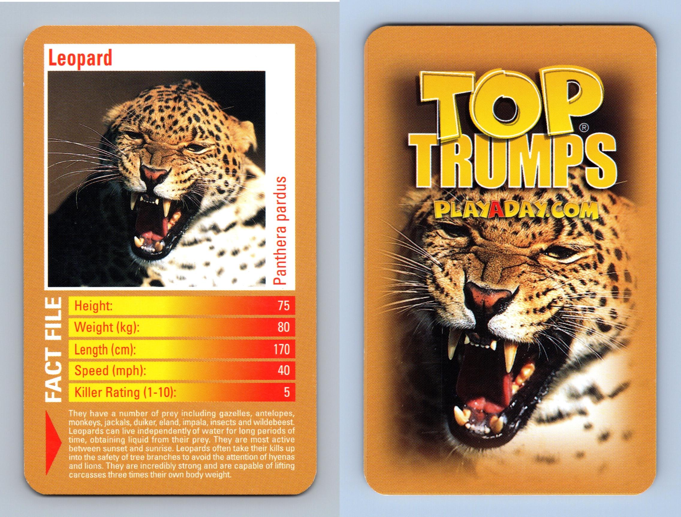 Leopard - Predators 2003 Top Trumps Card