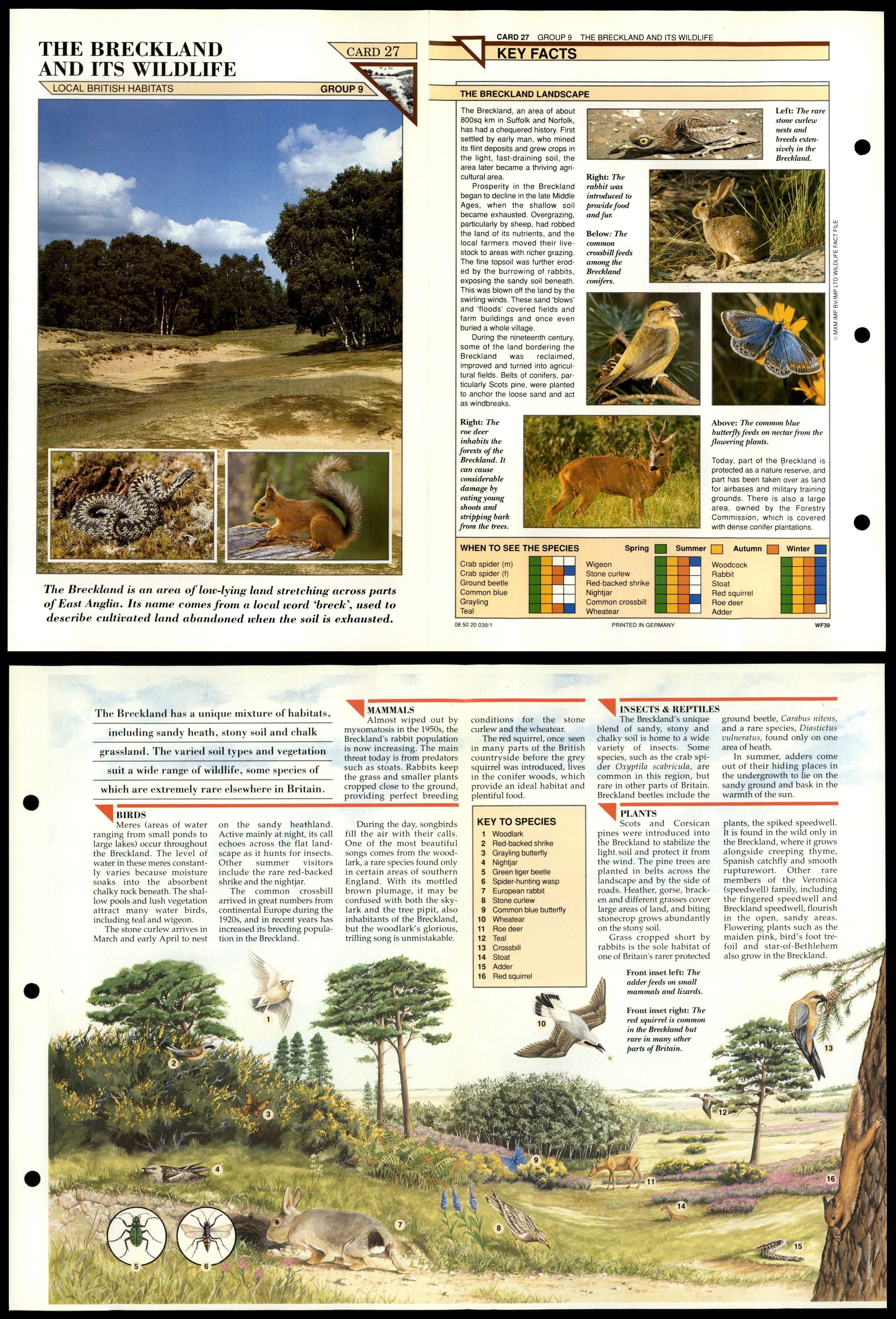 The Breckland & Its Wildlife #27 Habitats Wildlife Fact File Fold-Out Card