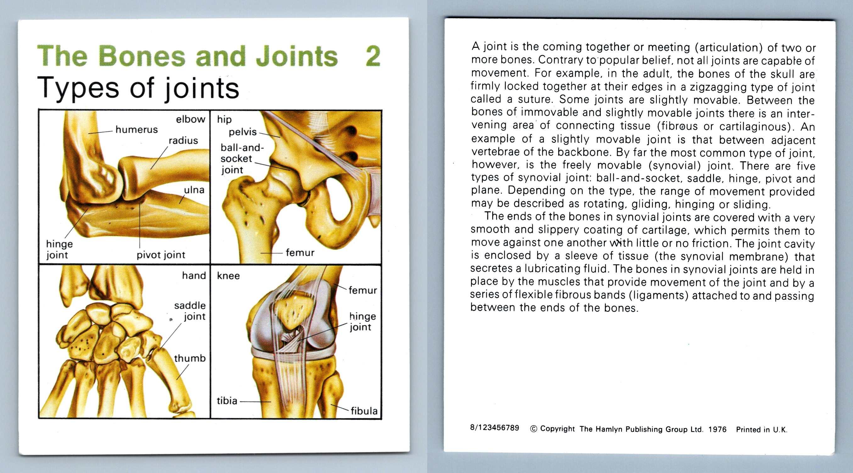 Types Of Joints #2 Bones & Joints - Home Medical Guide 1975-8 Hamlyn Card
