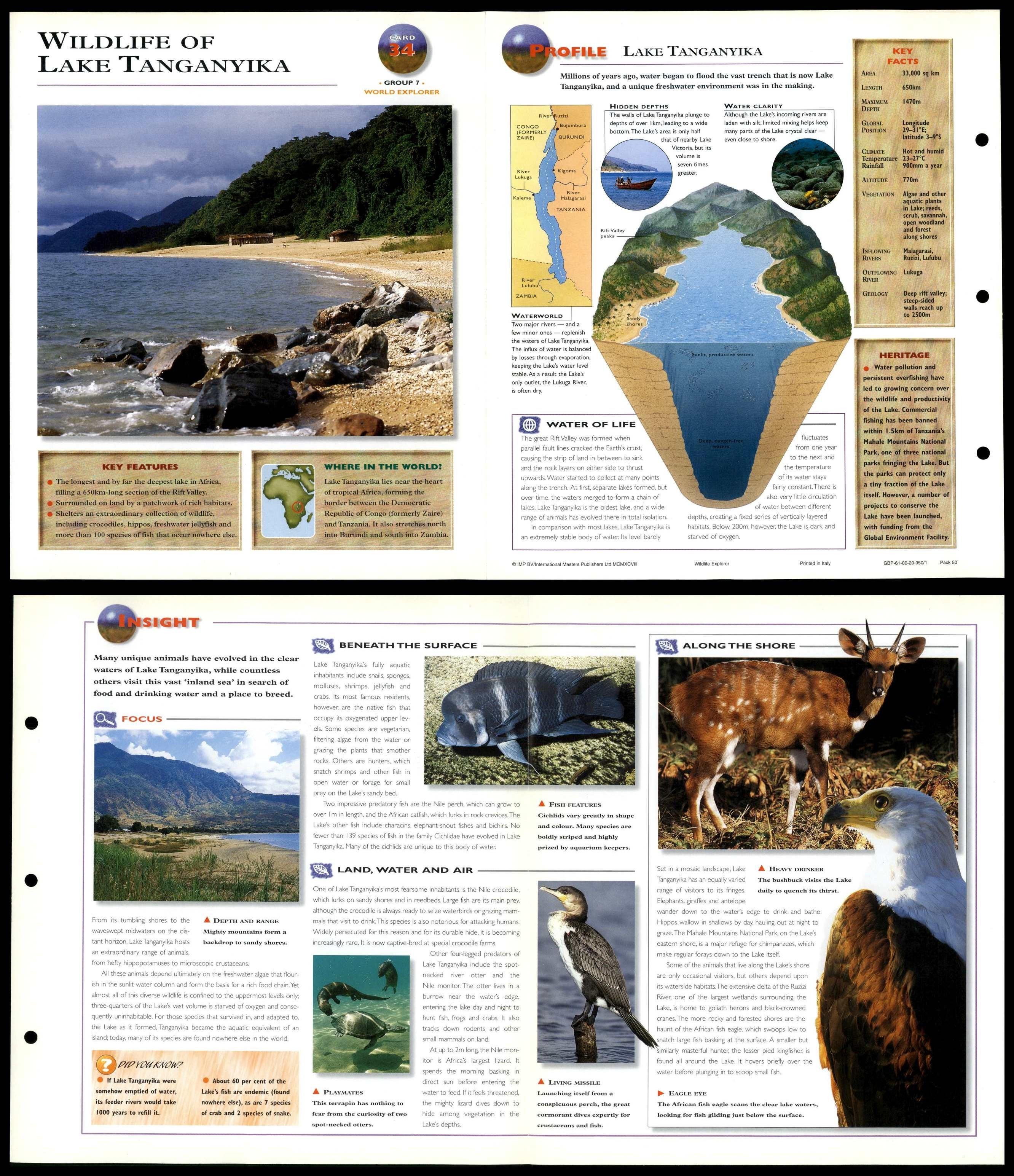 Wildlife Of Lake Tanganyika #34 World - Wildlife Explorer Fold-Out Card