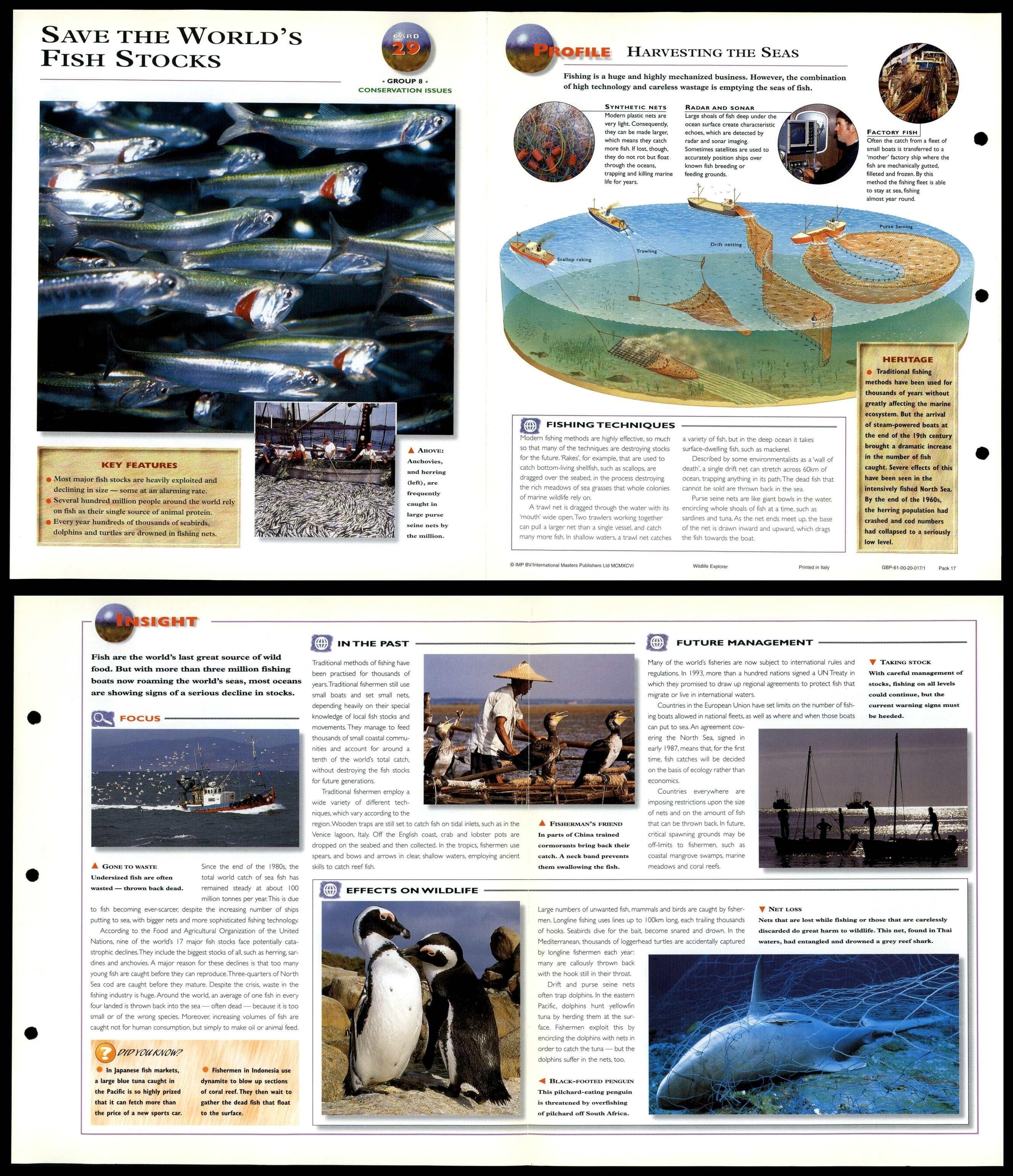 Save The World's Fish Stocks #29 Conservation - Wildlife Explorer Fold ...