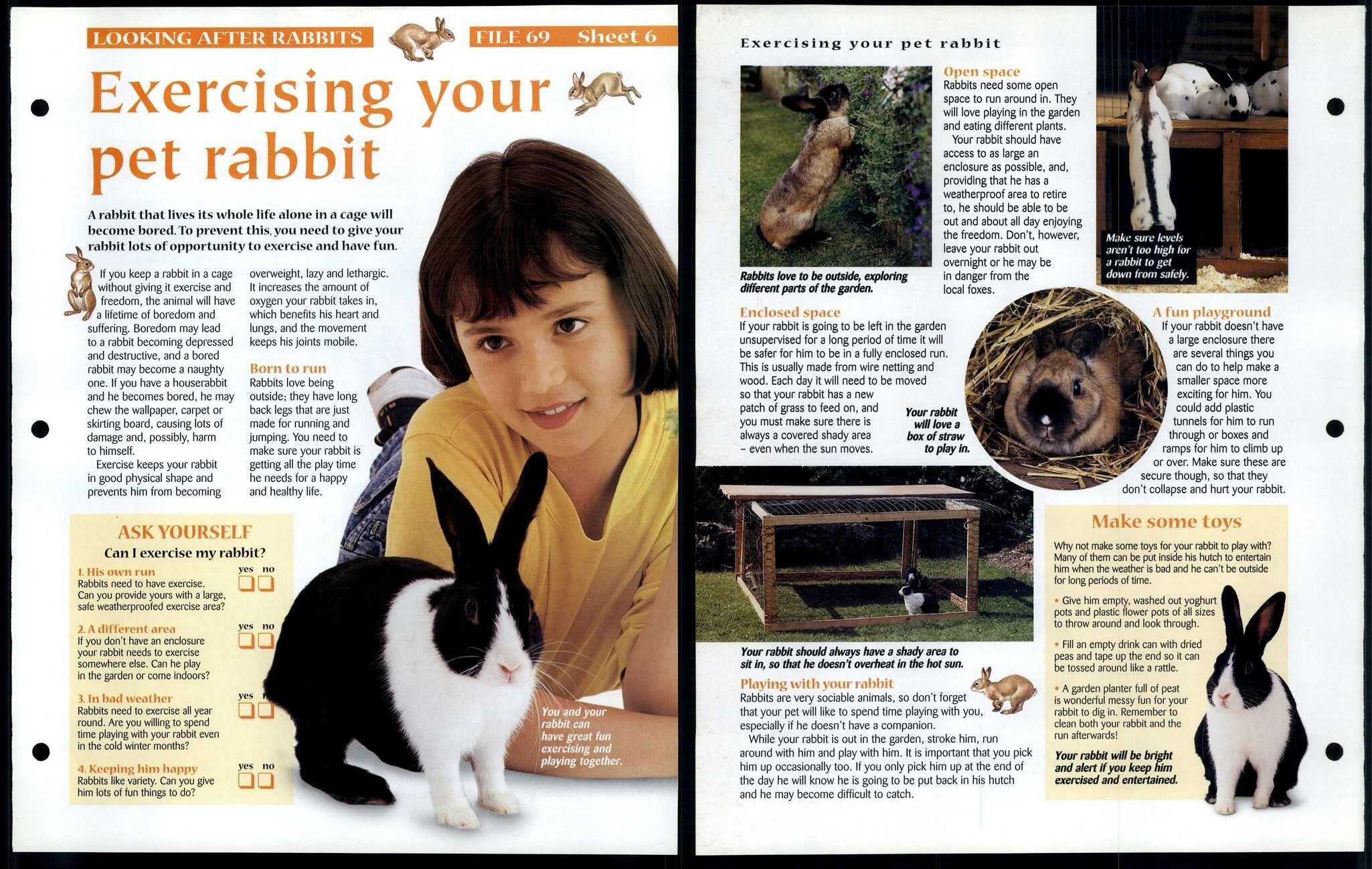 Exercising Your Rabbit #6 Looking After Animals, Animals, Animals Fact ...