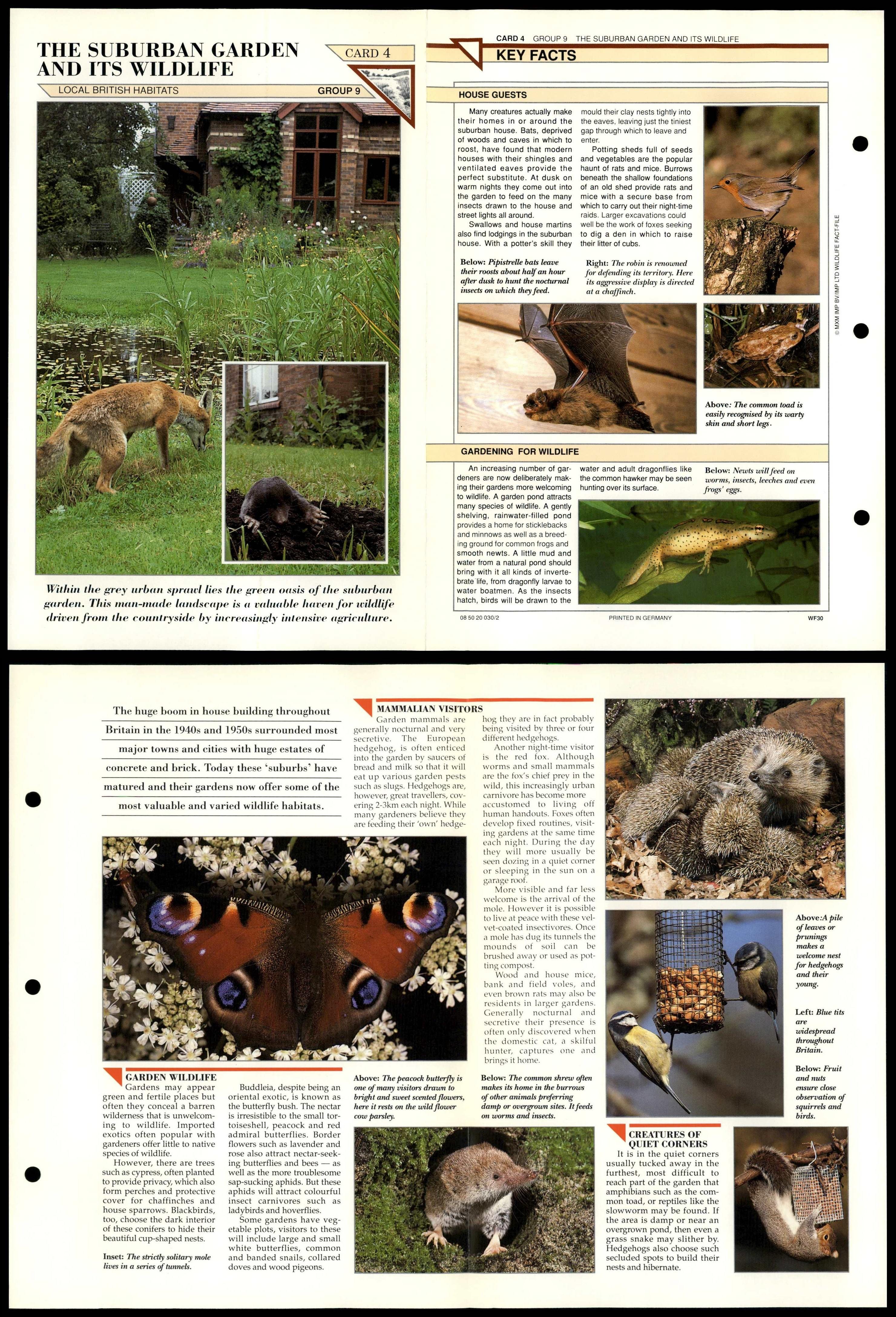 The Suburban Garden & It's Wildlife #4 Habitats Wildlife Fact File Fold ...