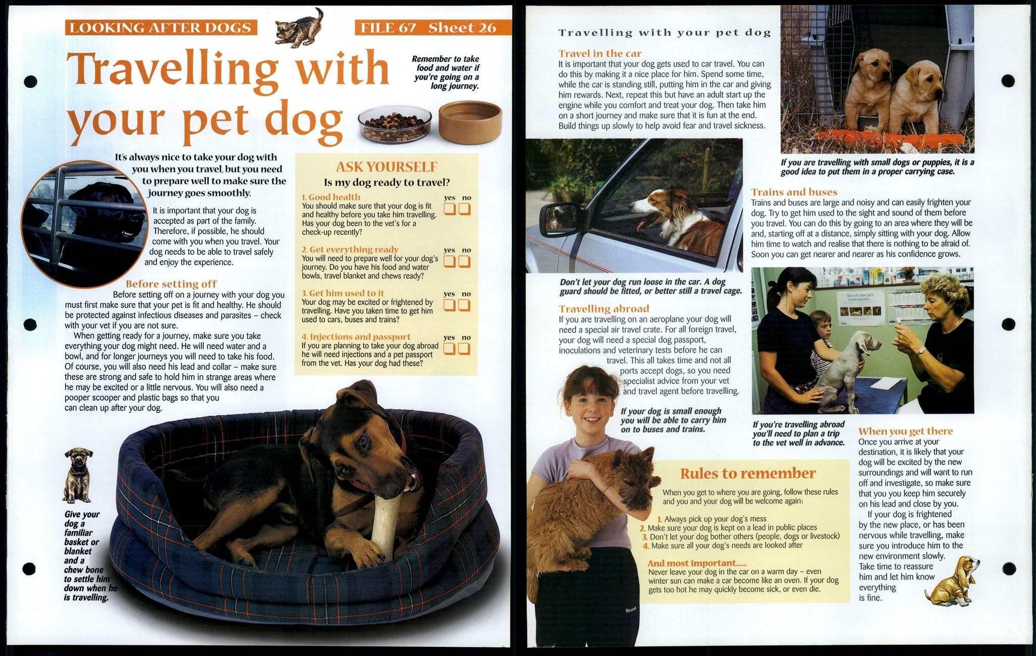 Travelling With Your Dog #26 Looking After Animals, Animals, Animals ...