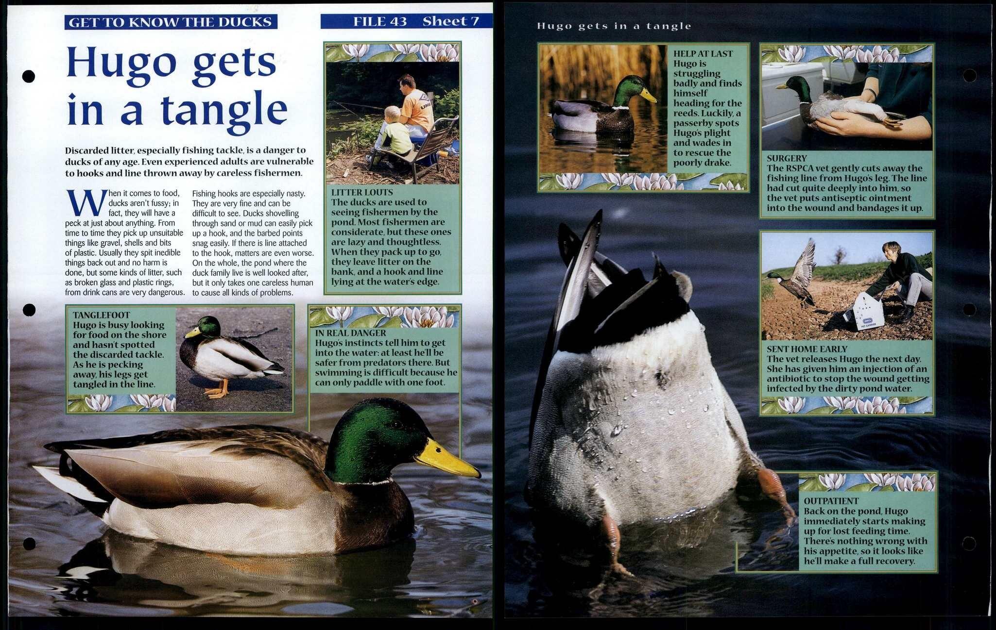 Hugo Gets In Tangle #7 Get To Know Animals, Animals, Animals Fact File Page