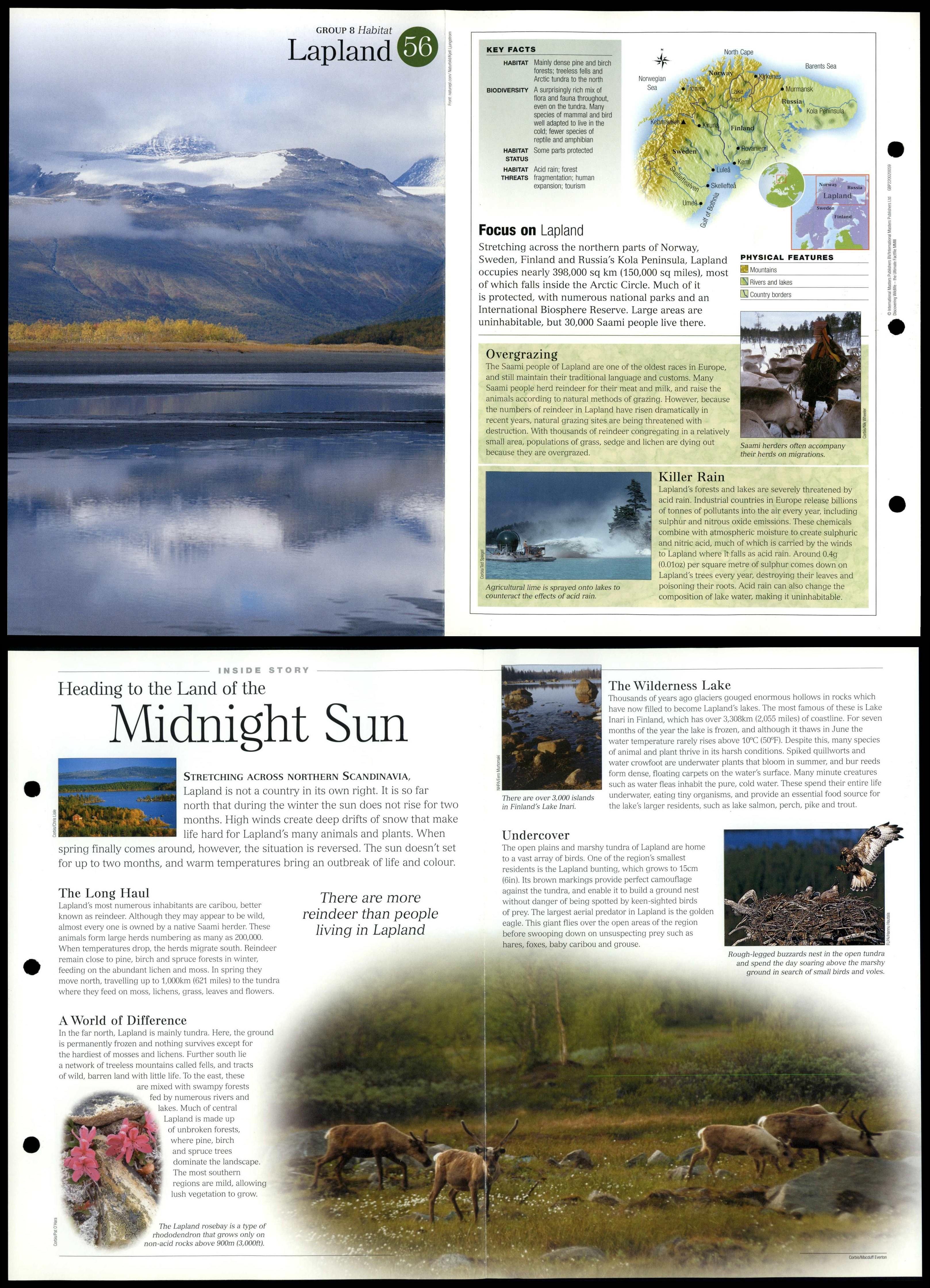 Lapland #56 Habitat - Discovering Wildlife Fact File Fold-Out Card