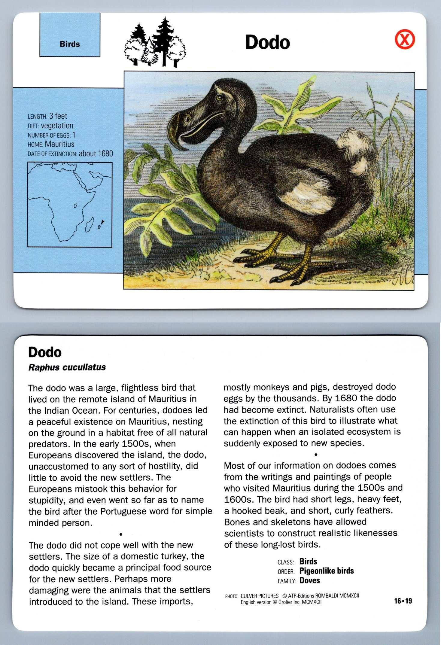 Dodo #16.19 Birds - Grolier Wildlife Adventure Card