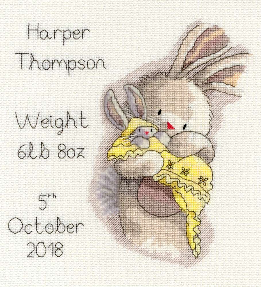 Bothy Threads - All Creatures Birth Sampler cross stitch kit