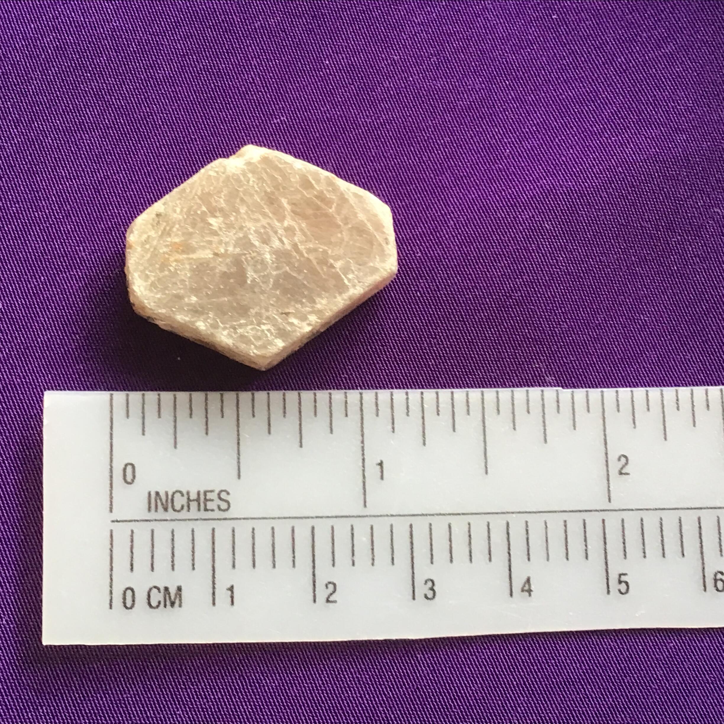 C2530 Record Keeper Ruby