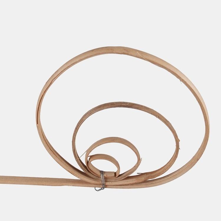 Dried Cane Coil Stem 45cm